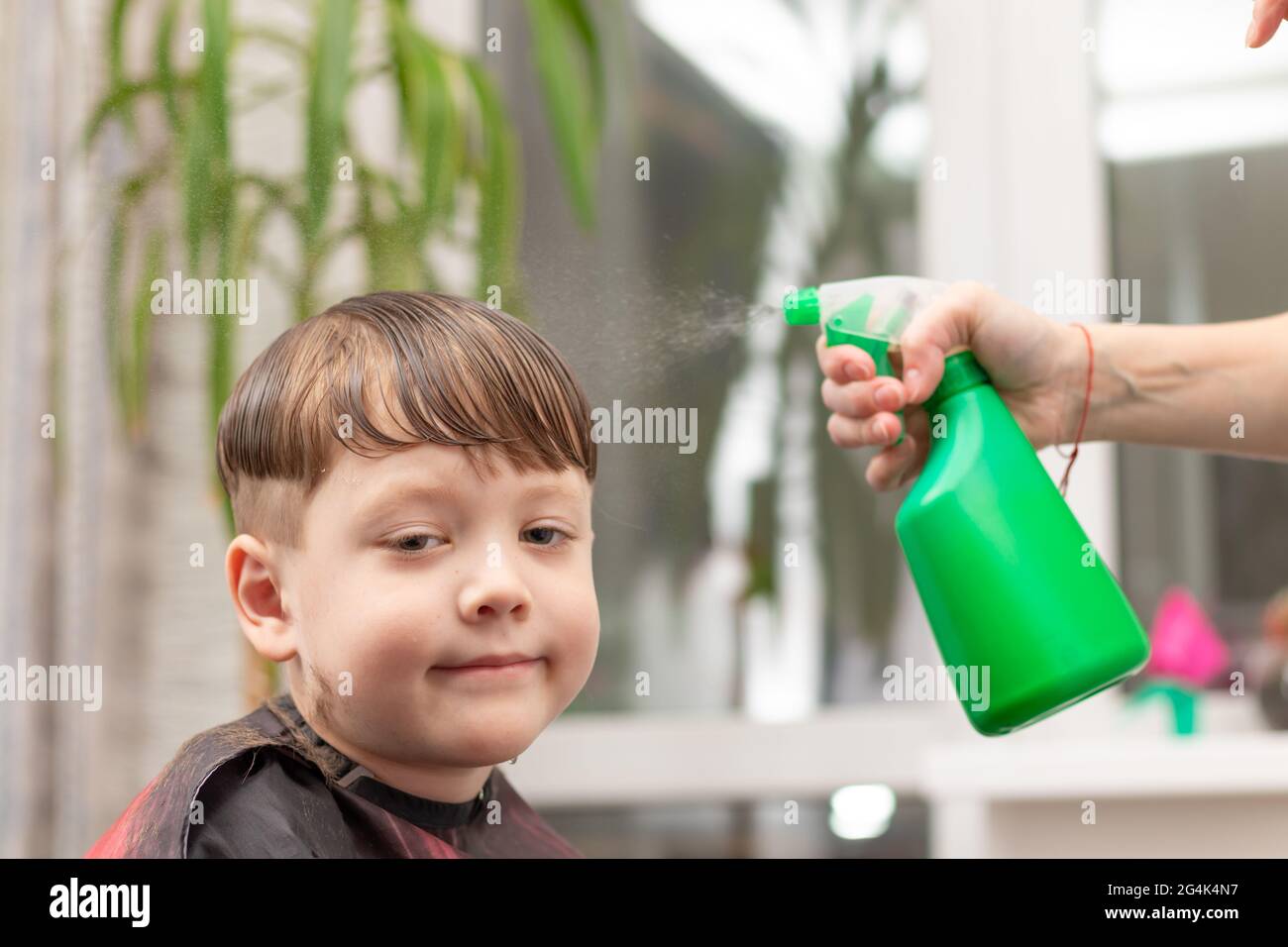 the female hand of a hairdresser sprays water from a green spray on the ...