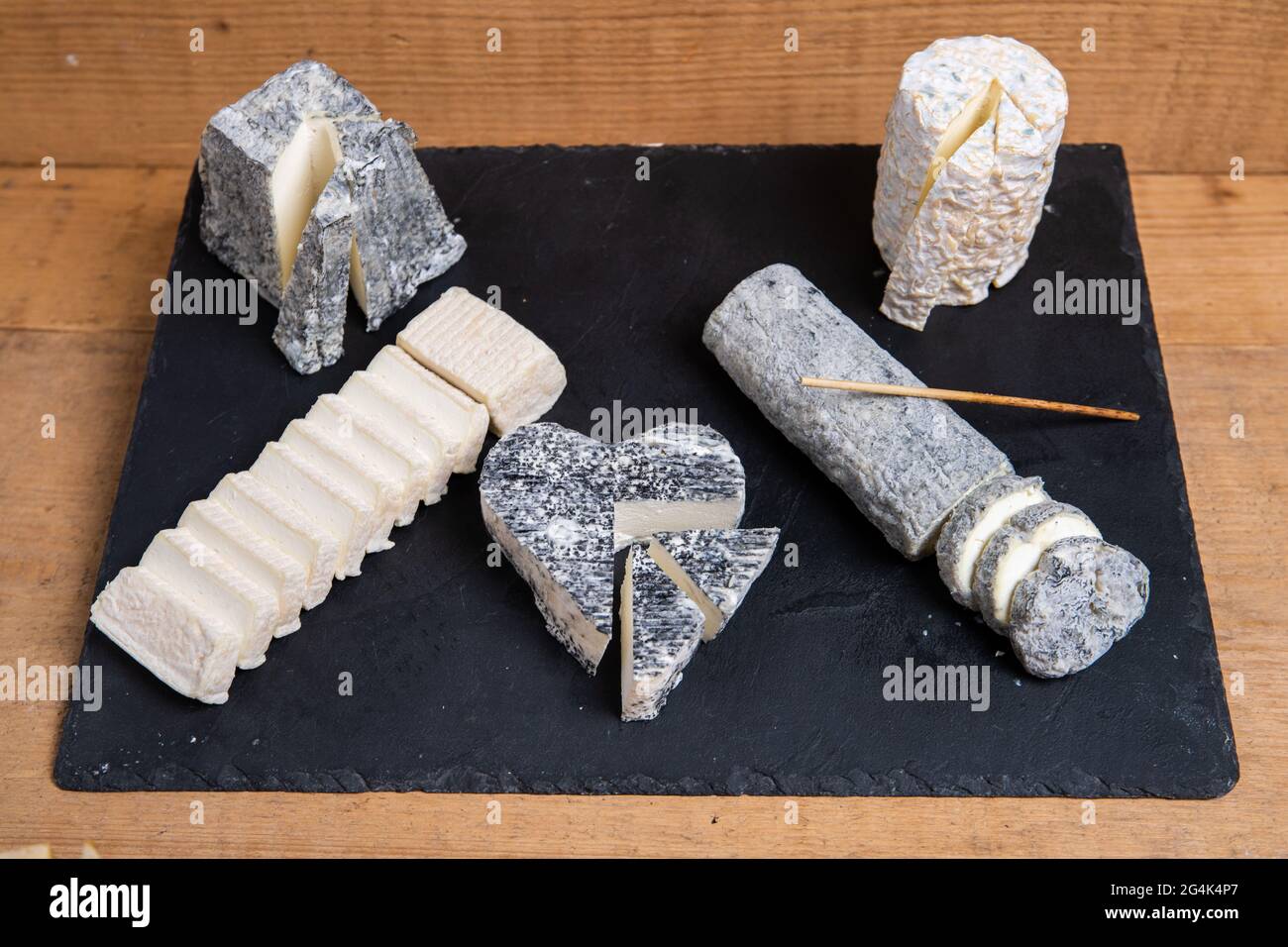 Cheese platter: selection of goat’s cheese, conventional cutting Stock ...