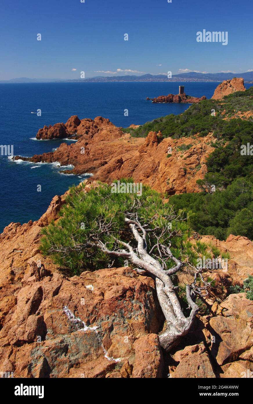 FRANCE. VAR (83), THE DRAMONT, THE TOWER OF THE GOLDEN ISLAND Stock ...