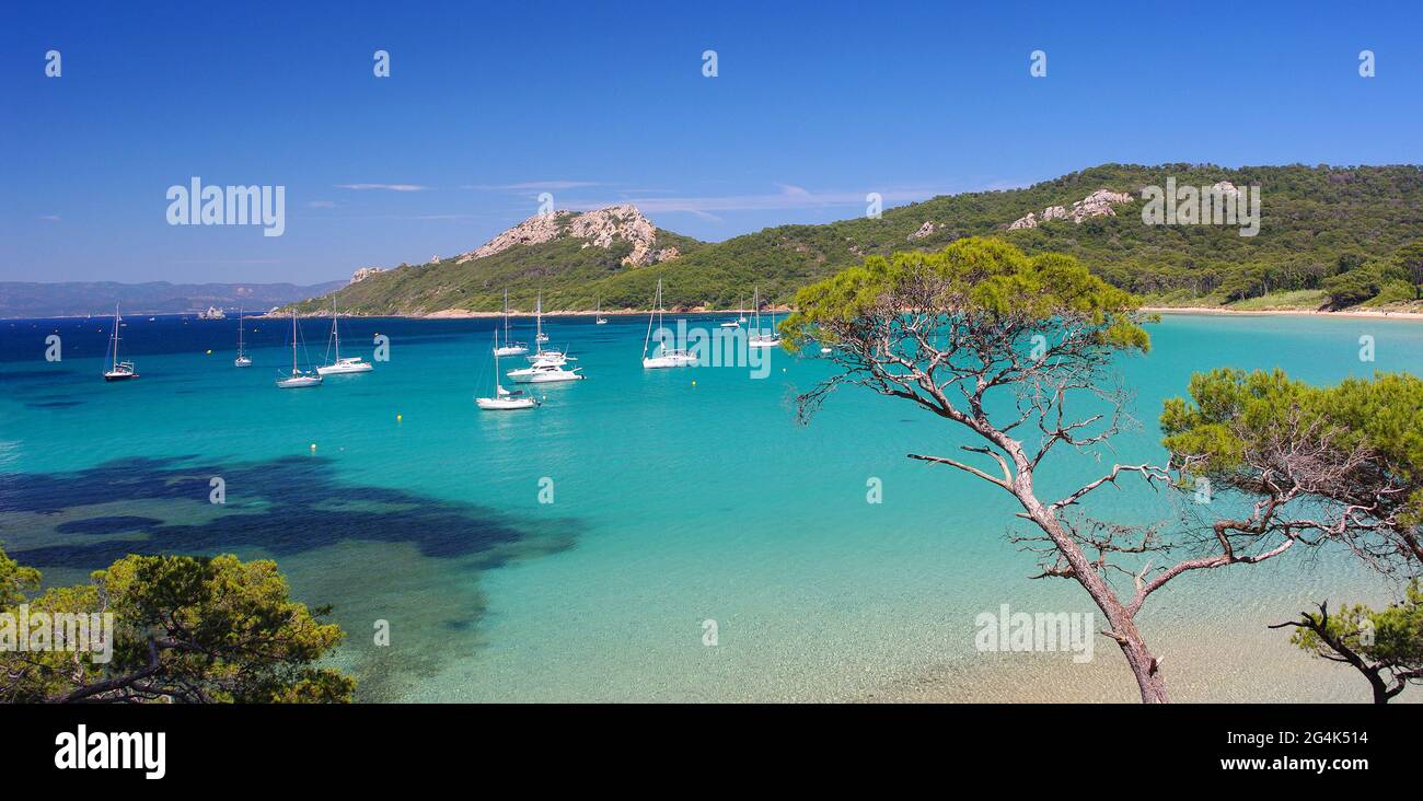 Île De Porquerolles Beach High Resolution Stock Photography and Images ...