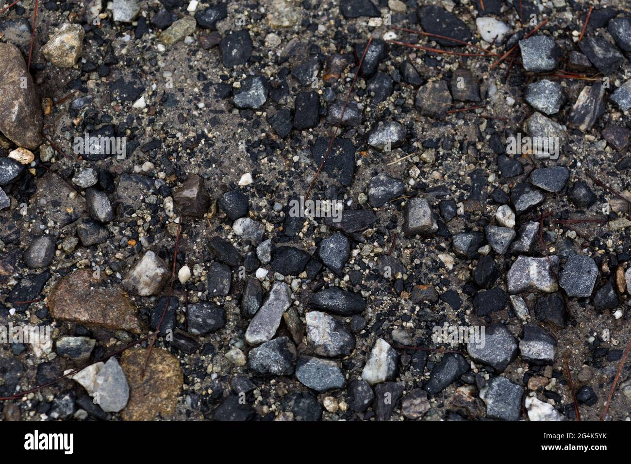 Wet sand with rocks and dirt hi-res stock photography and images - Alamy