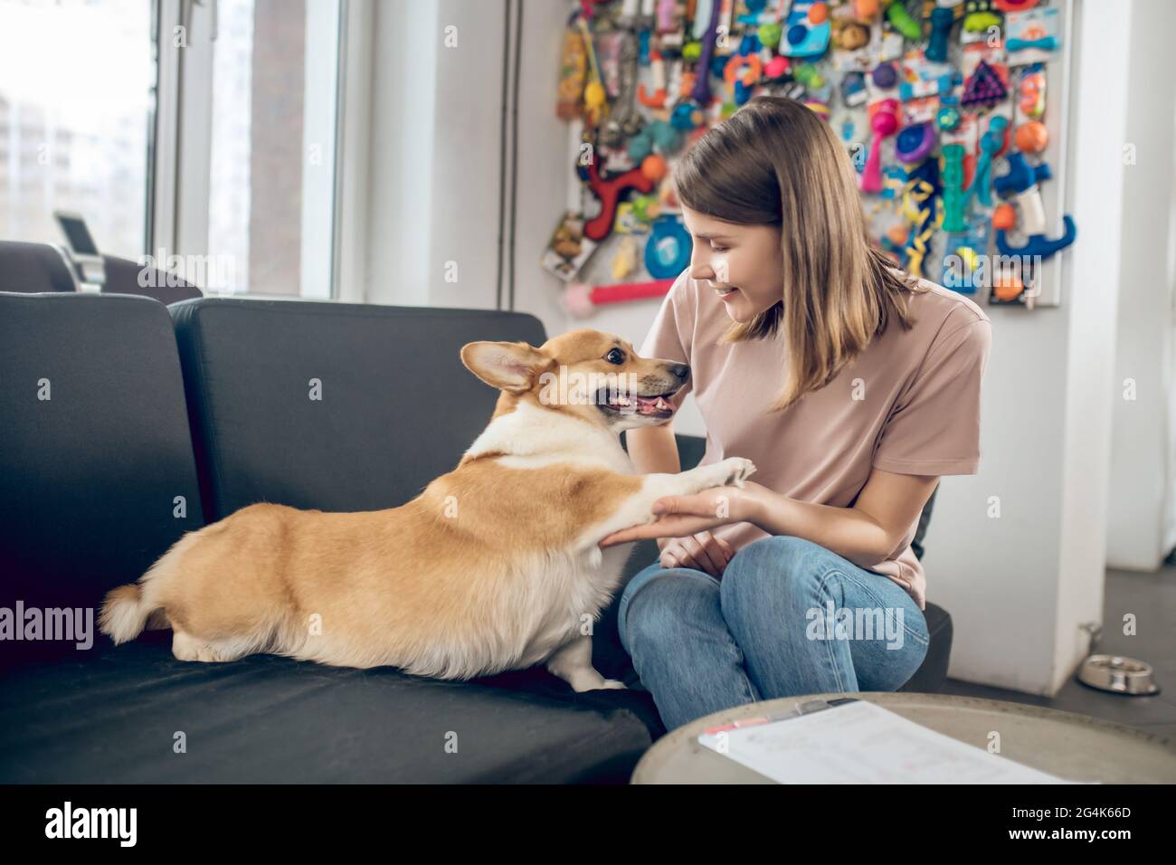 Female pet owner sitting on a sofa with her dog Stock Photo - Alamy