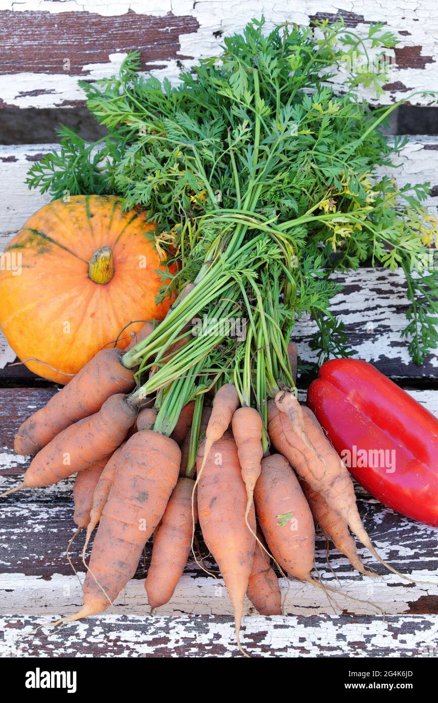 Garden gardens produces produce hi-res stock photography and images - Alamy