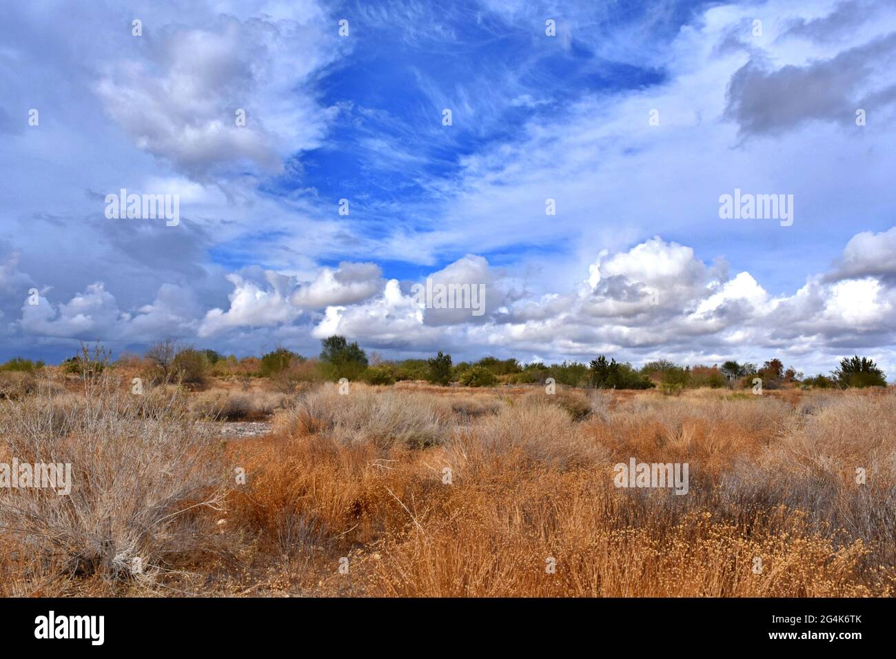 Thunder and lightning over arizona hi-res stock photography and images ...