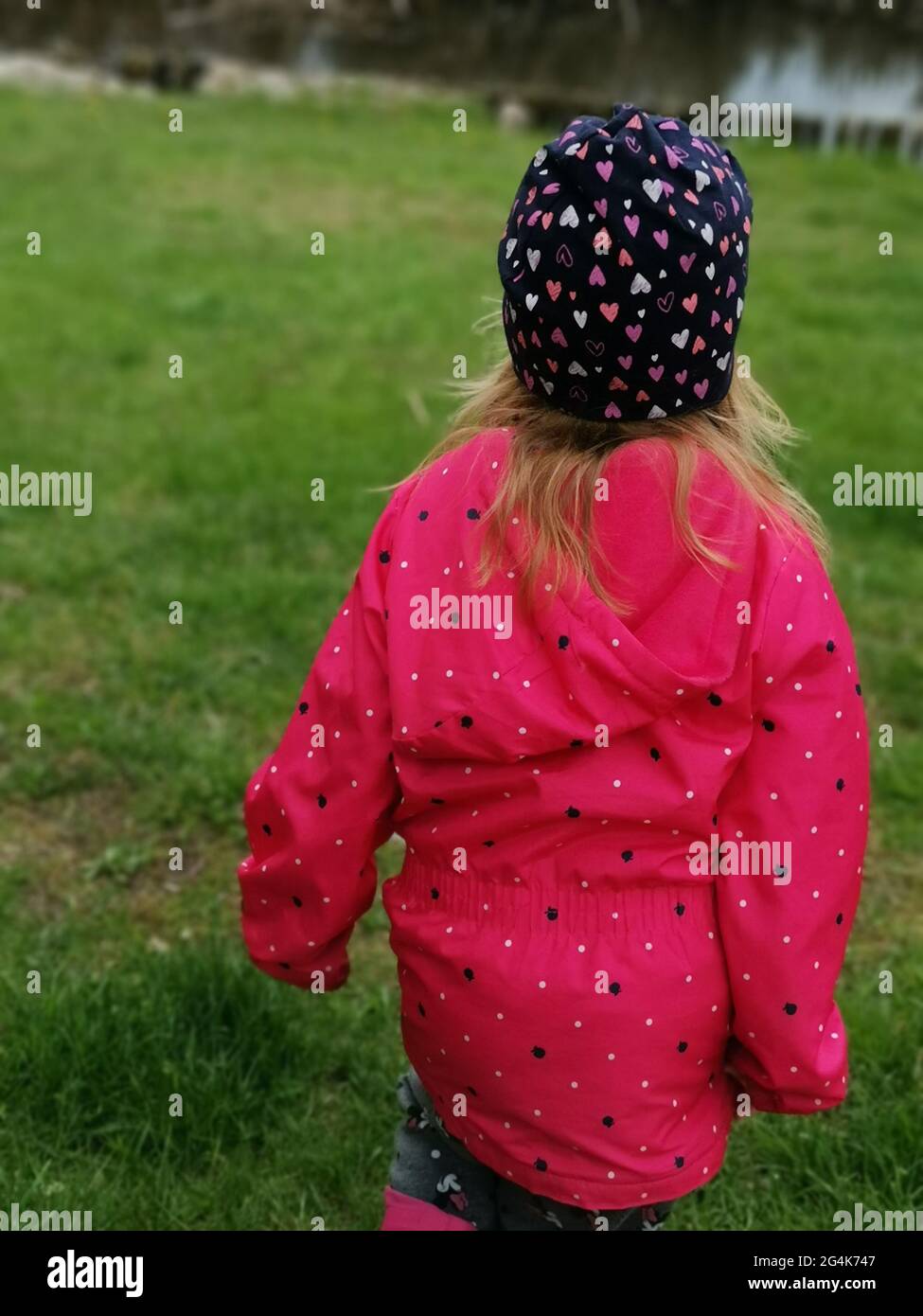Back view of a child in the garden Stock Photo - Alamy