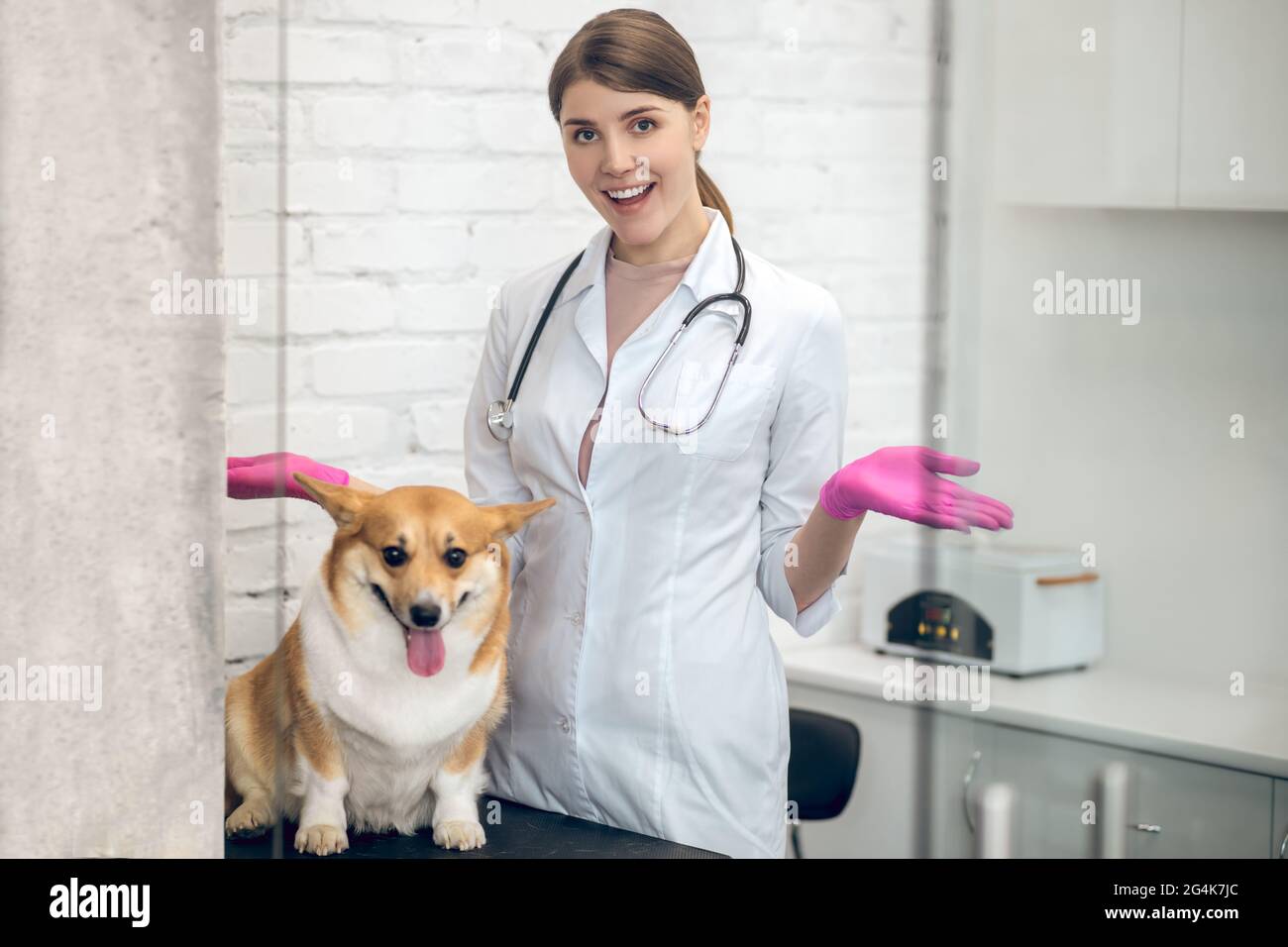 Young vet hi-res stock photography and images - Alamy