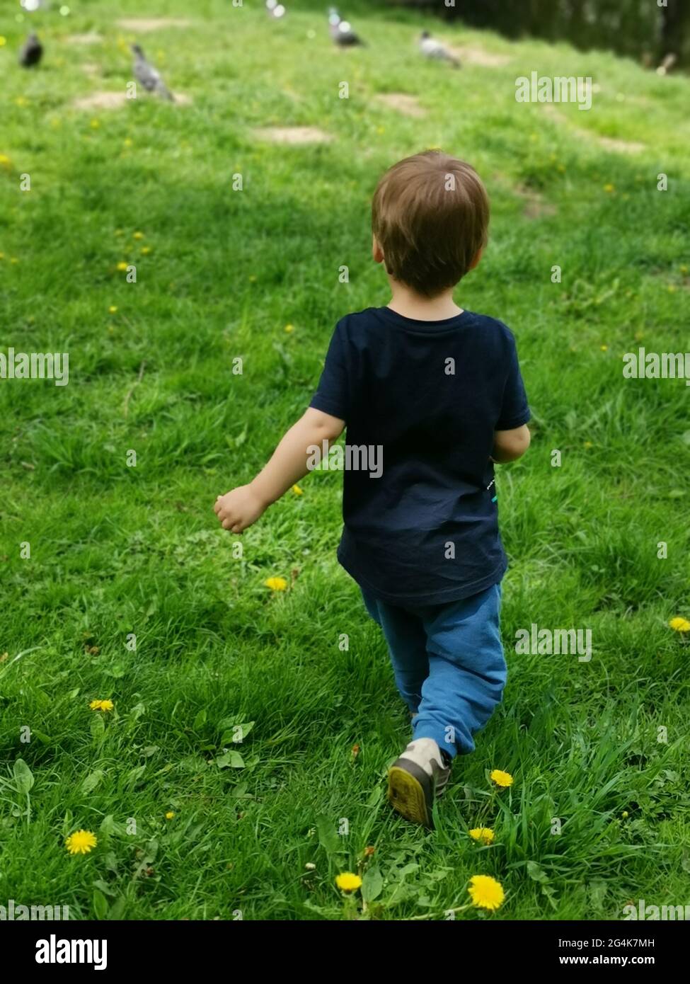 Back view of a child playing in the garden Stock Photo - Alamy
