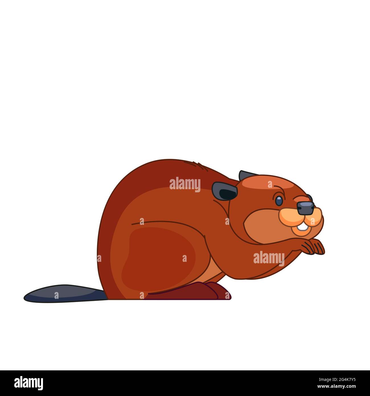 Beaver eating plant. Cartoon vector flat illustration isolated on white ...