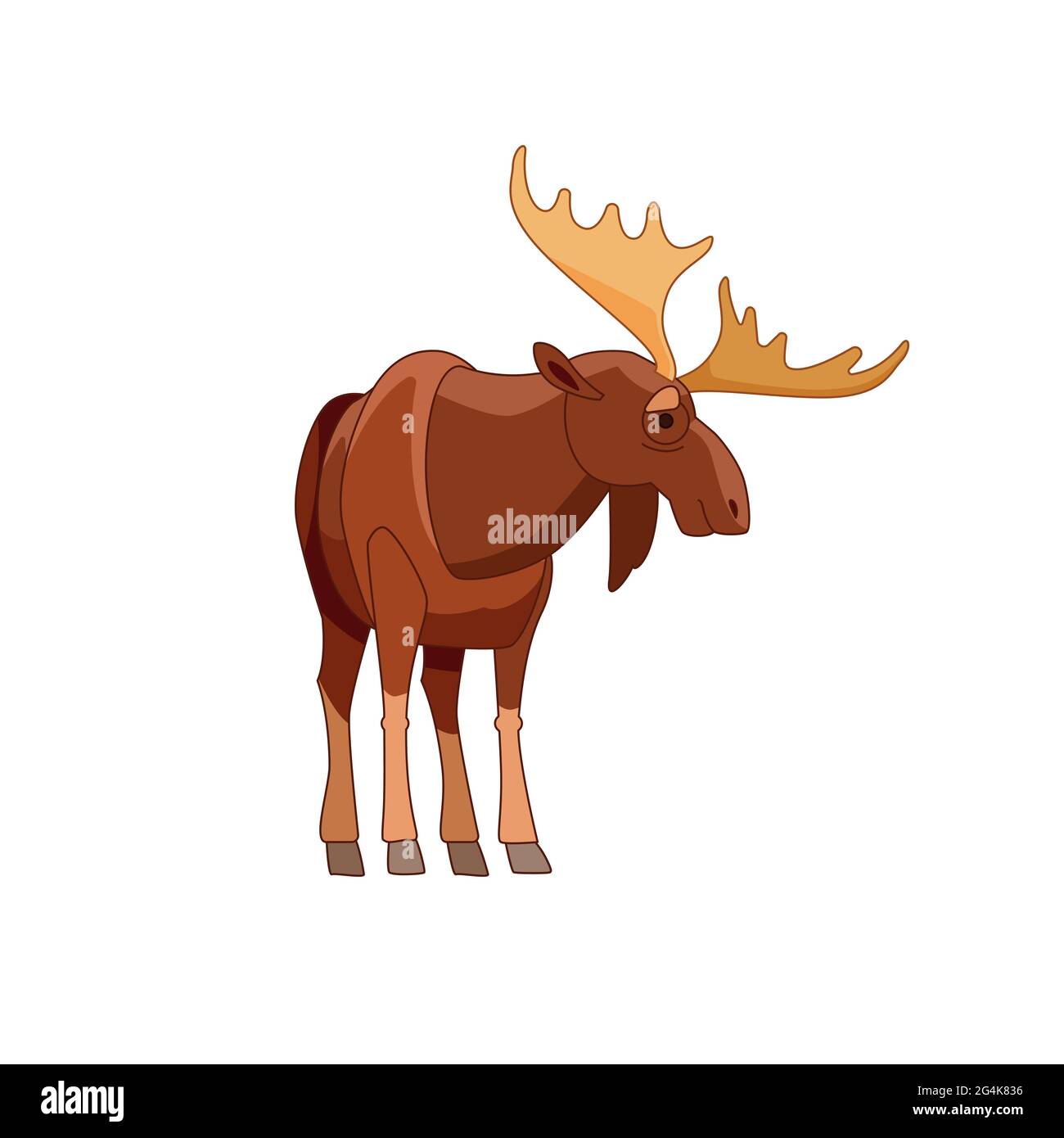 Male deer in colorado Cut Out Stock Images & Pictures - Alamy