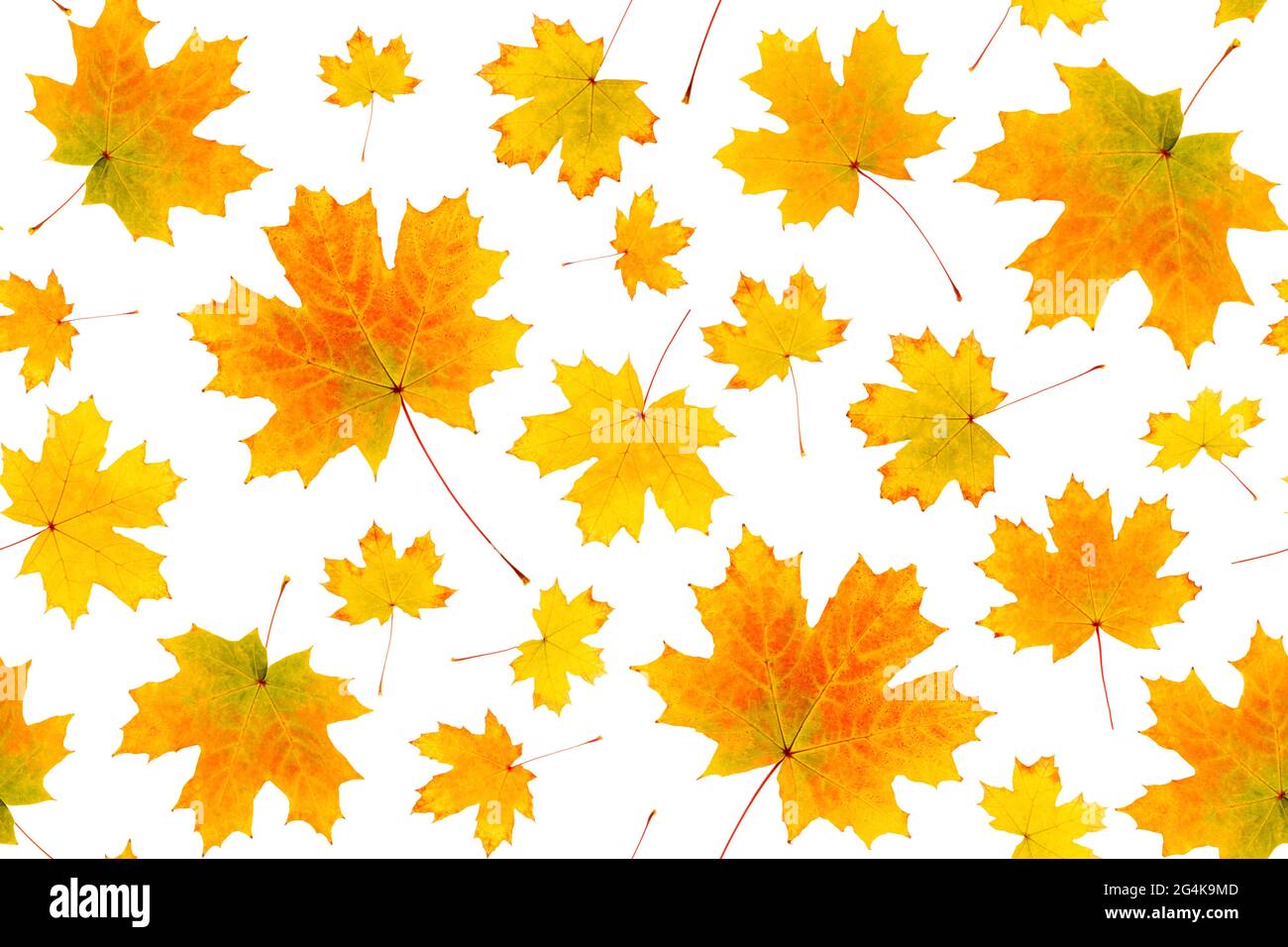 Seamless flat texture Cut Out Stock Images & Pictures - Alamy