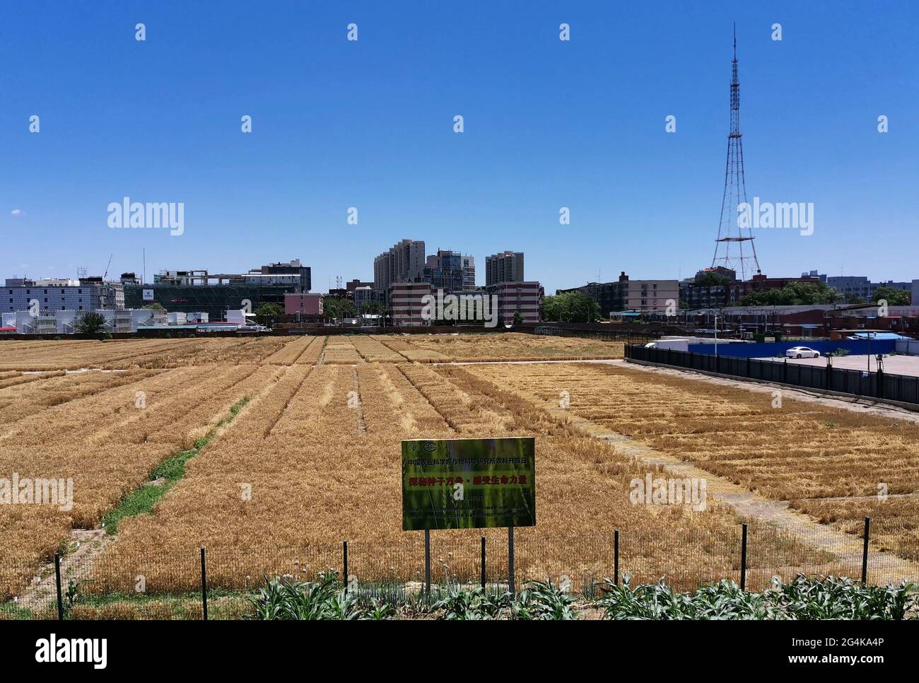 June 22, 2021, Beijing, Beijing, China: June 22, 2021, during the ...