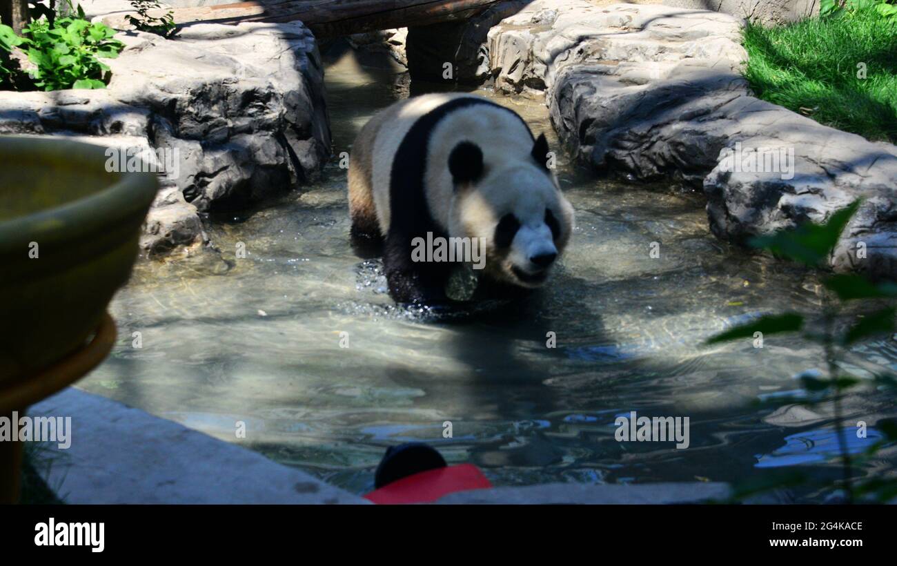 June 22, 2021, Beijing, Beijing, China: On June 22, 2021, at the ...