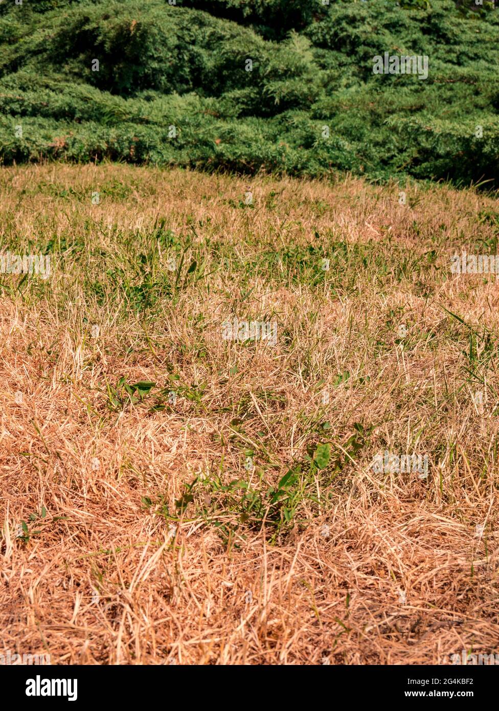 Dust period hi-res stock photography and images - Alamy