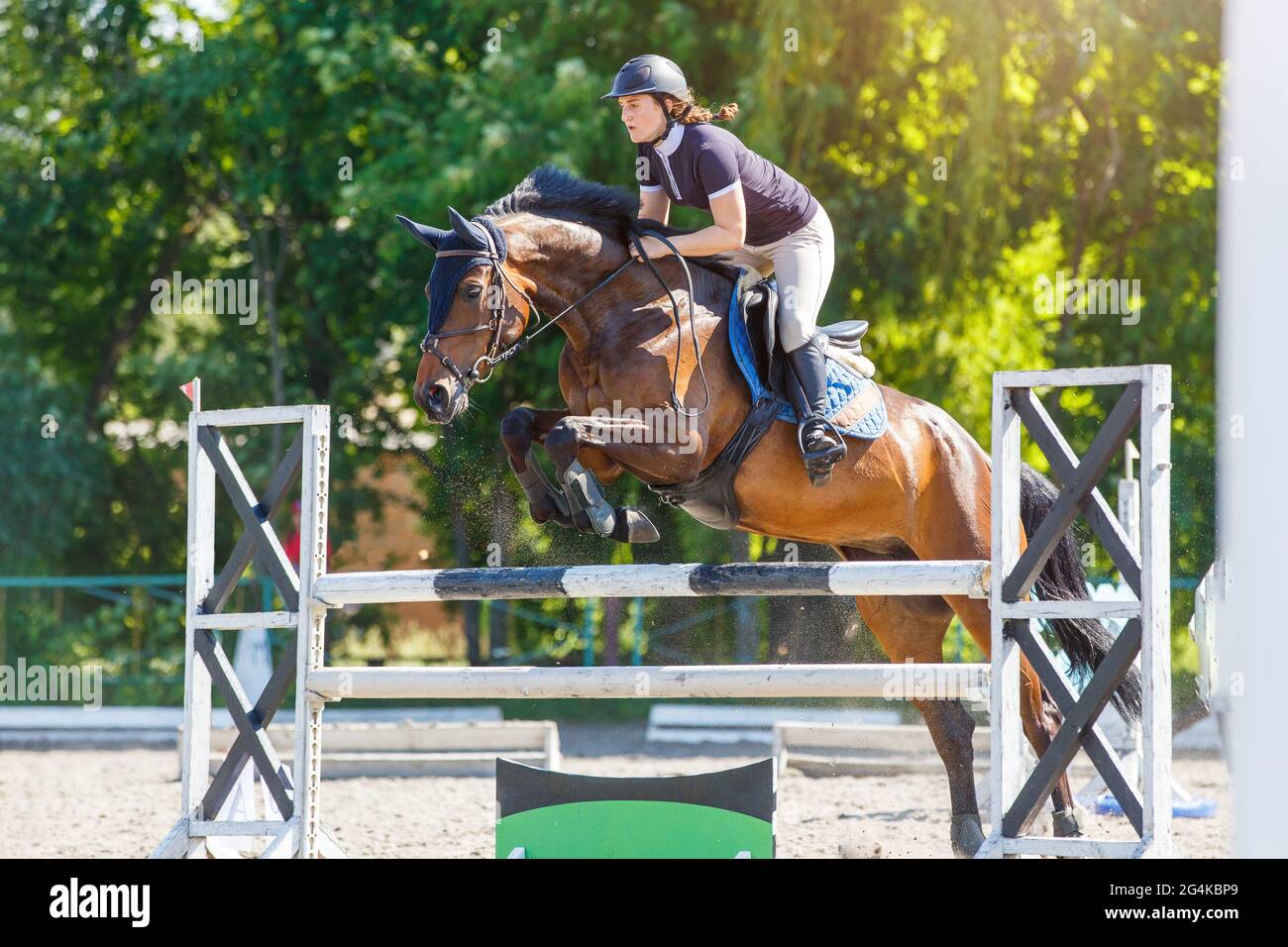 Show jumping rider hi-res stock photography and images - Alamy
