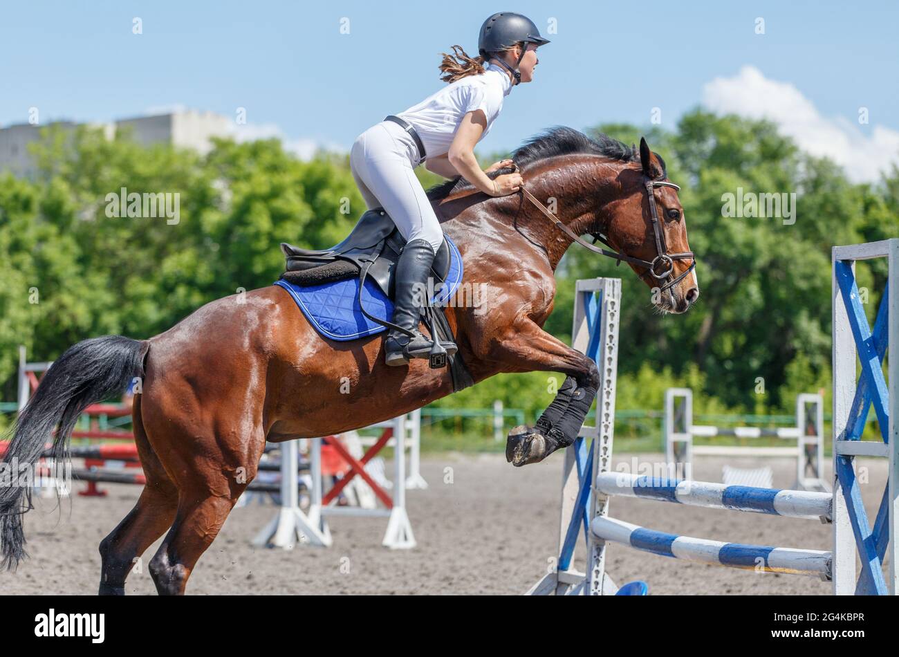 Young horse rider girl jumping on show jumping Stock Photo - Alamy
