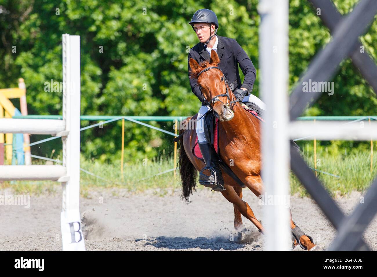 Young man on his course show jumping competition Stock Photo - Alamy