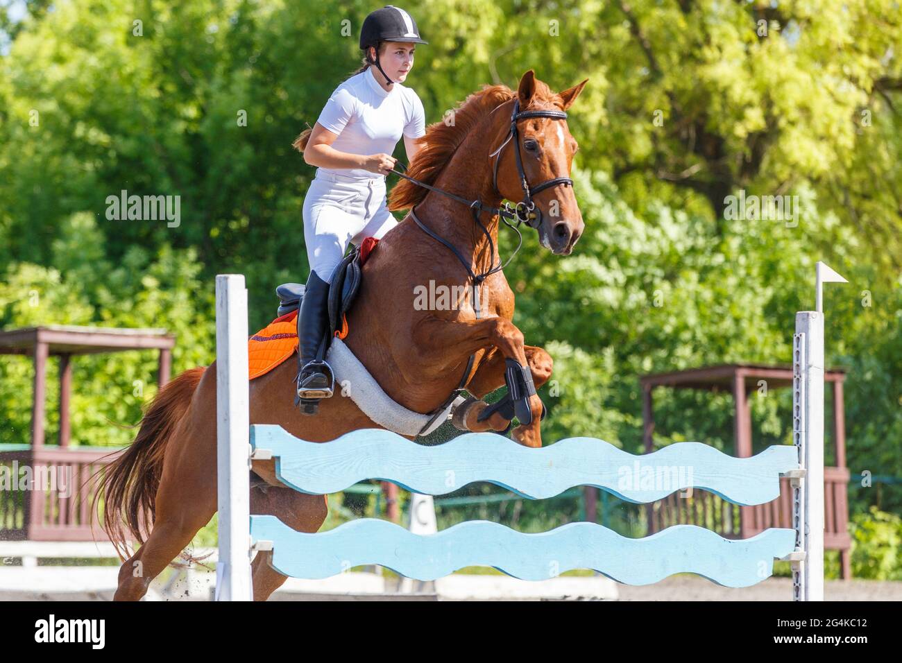 Young horse rider girl jumping on show jumping Stock Photo - Alamy