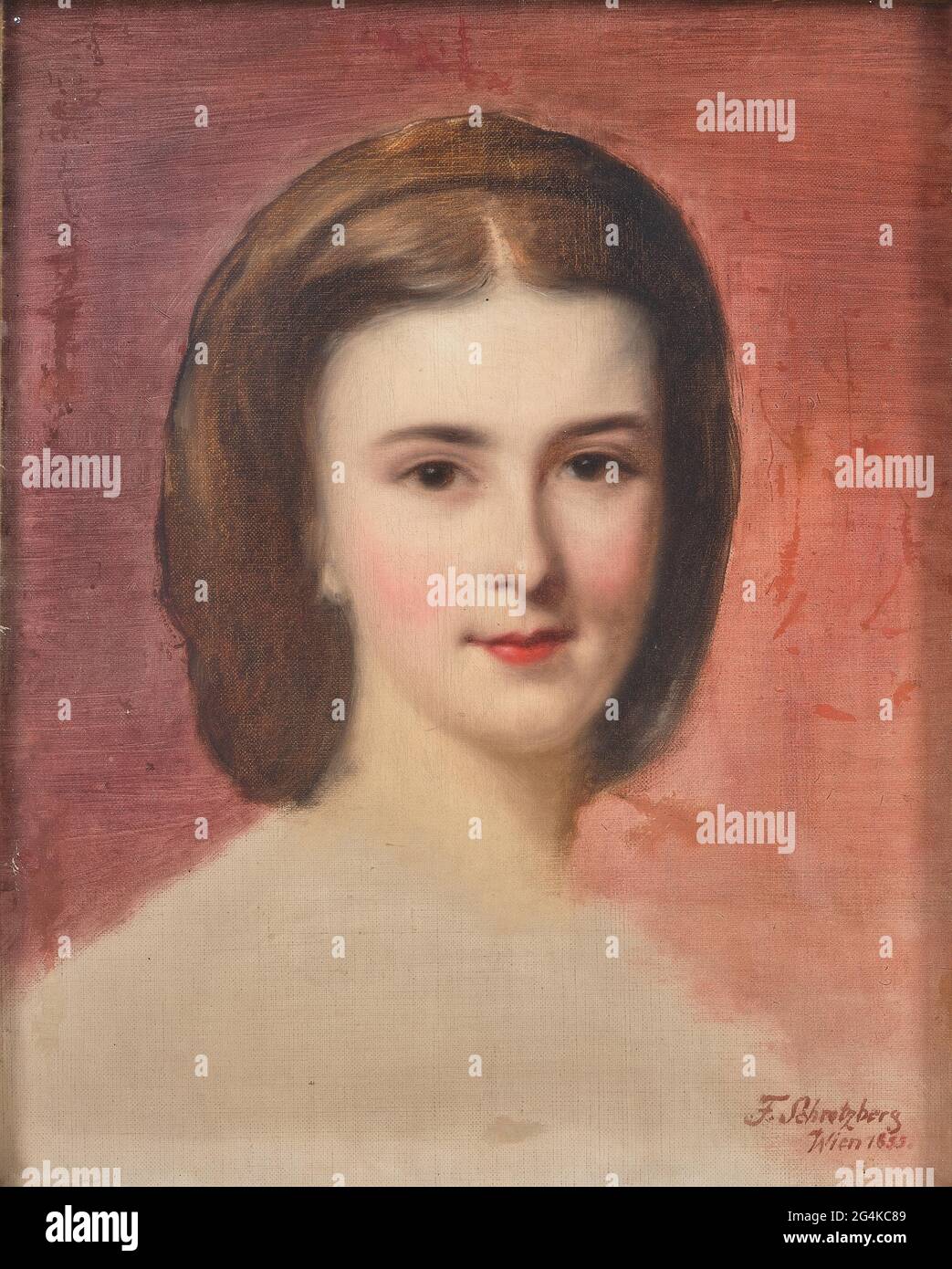 Portrait of Elisabeth of Bavaria, 1855. Private Collection Stock Photo ...