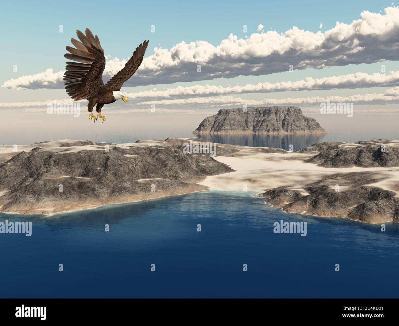 Sea eagle over the sea Stock Photo - Alamy