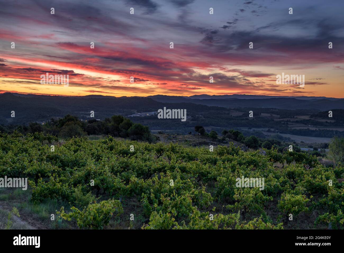 Vinyas hi-res stock photography and images - Alamy