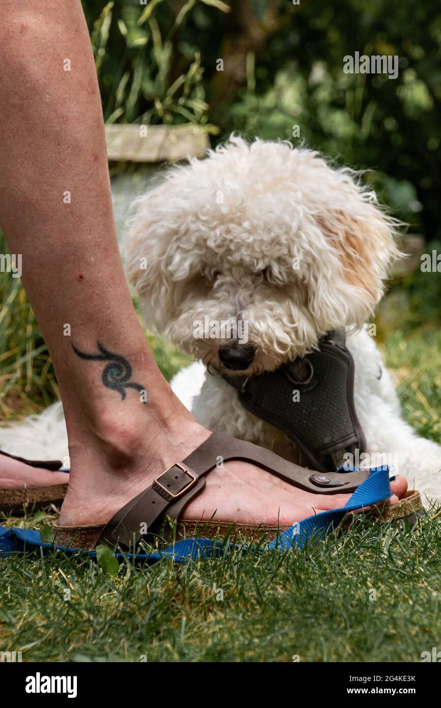 Staring at feet hi-res stock photography and images - Alamy