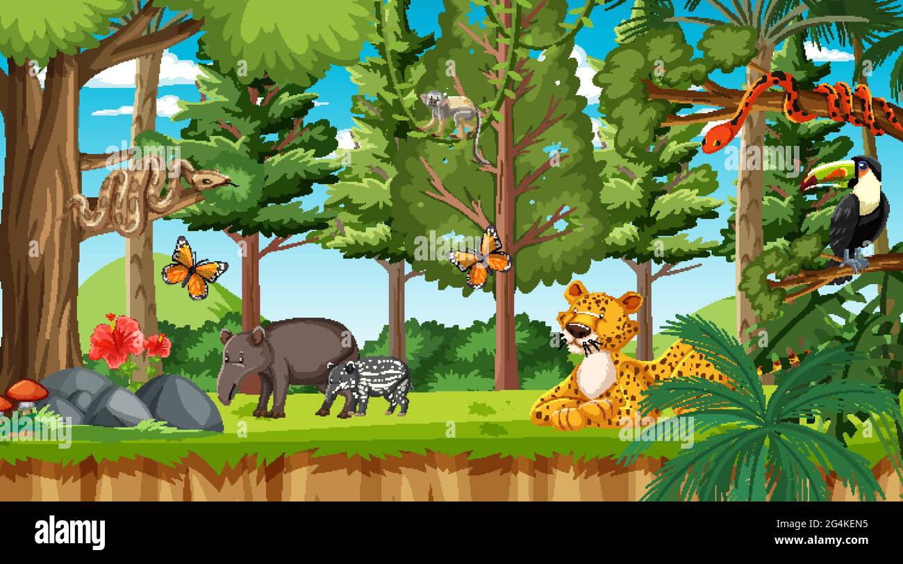 Forest at daytime scene with different wild animals illustration Stock ...