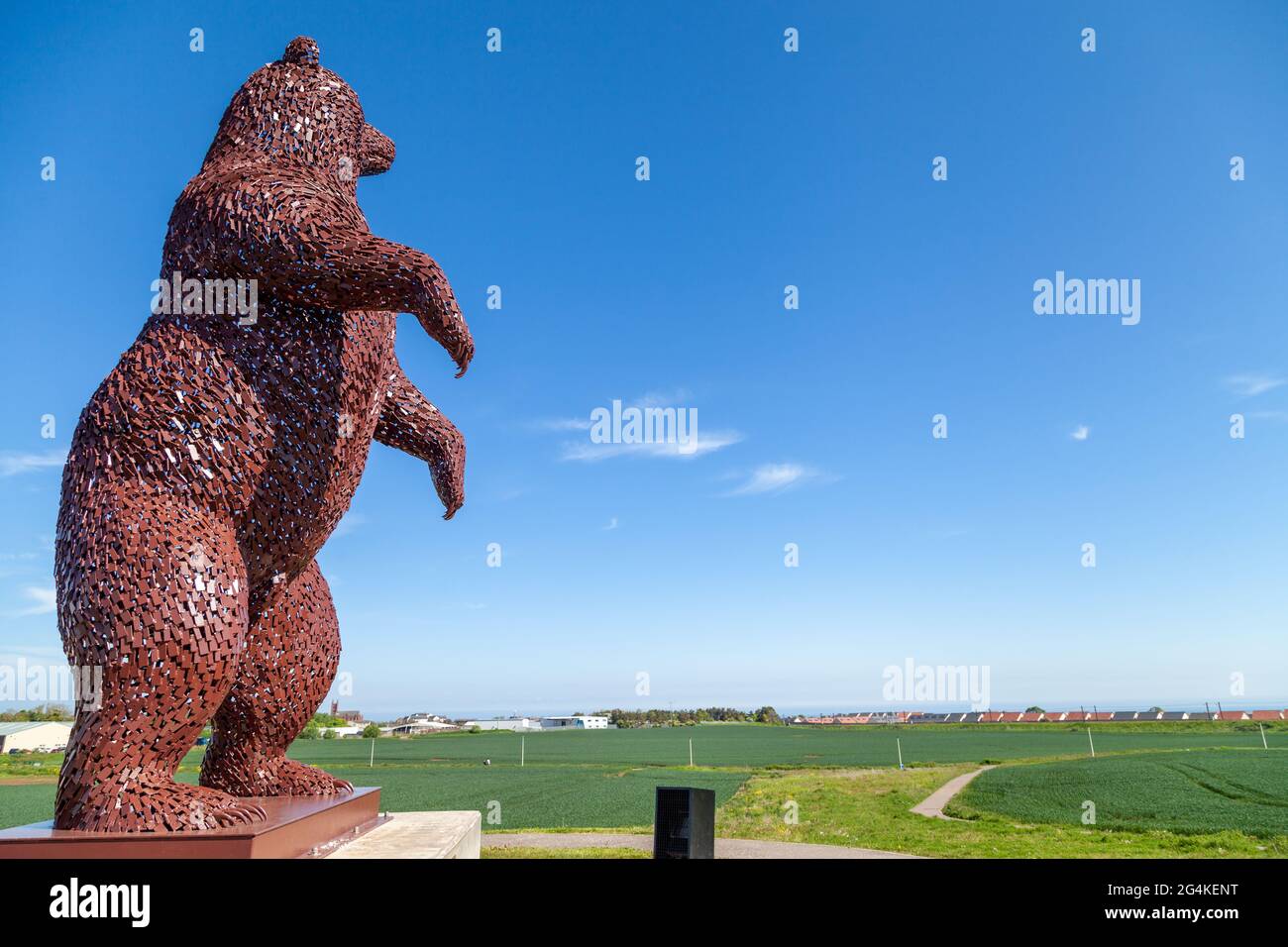 The Dunbar Bear artwork by the Scottish sculptor Andy Scott is a ...