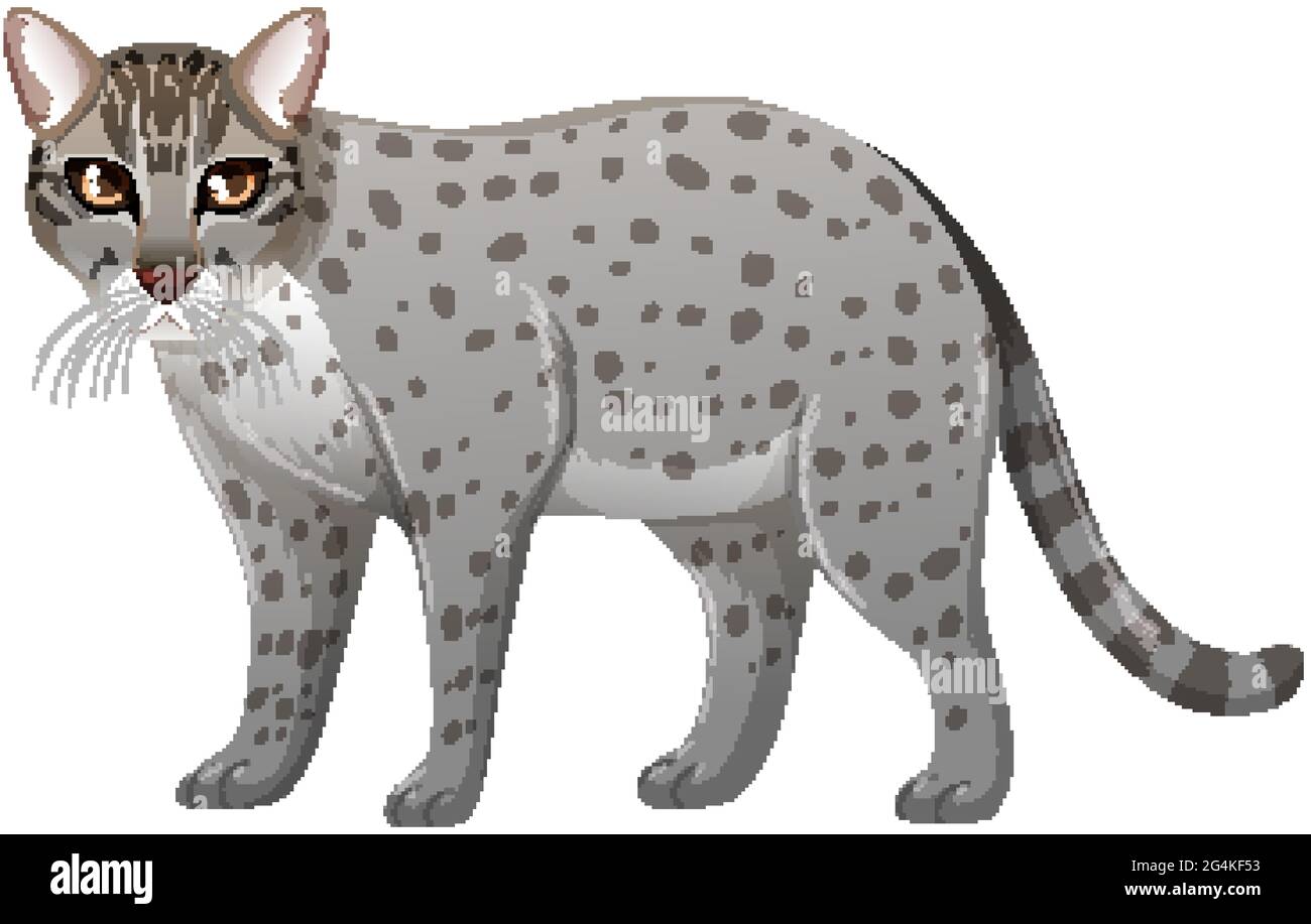 Fishing Cat in cartoon style on white background illustration Stock ...