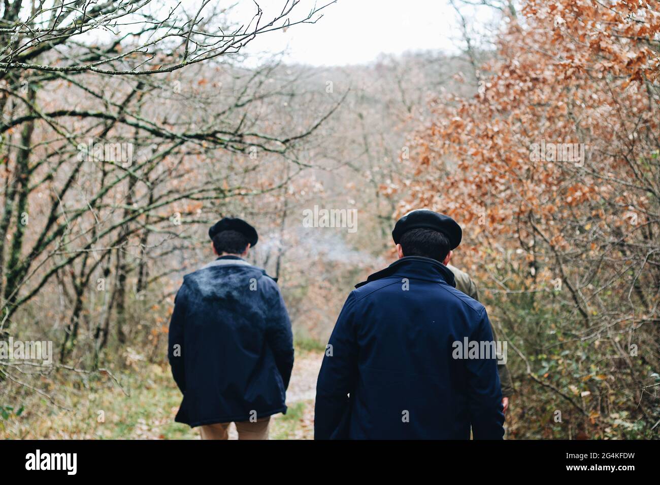 Males walking through a path in an autumn park - shot from behind Stock ...