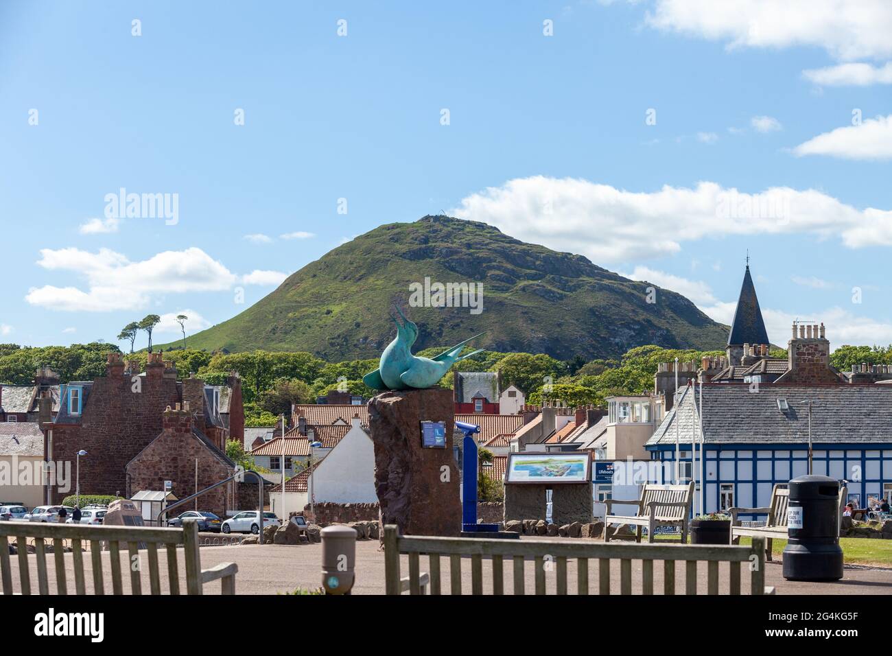 Tern sculpture hi-res stock photography and images - Alamy