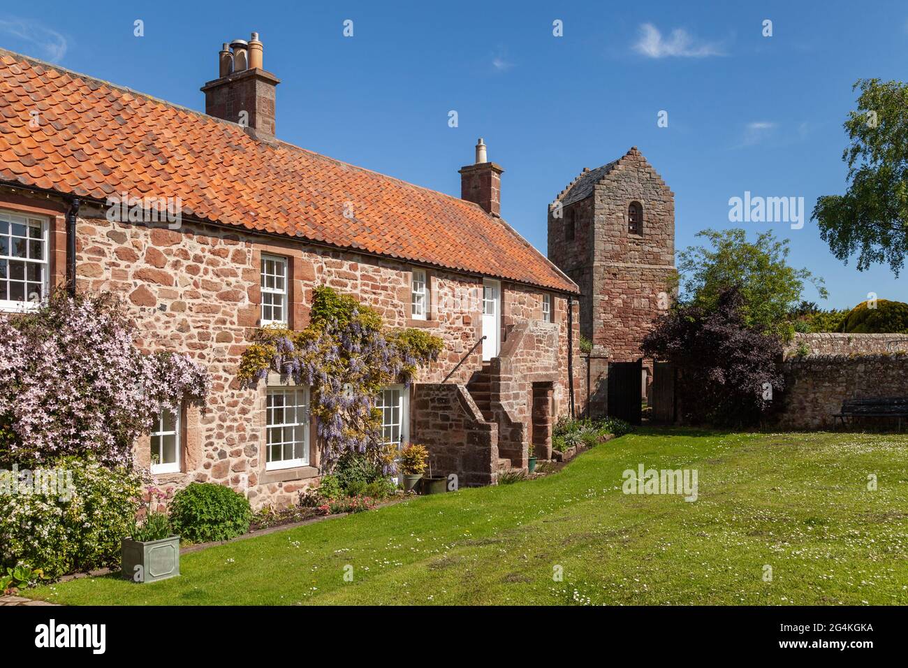 Wisteria on historic house hi-res stock photography and images - Alamy
