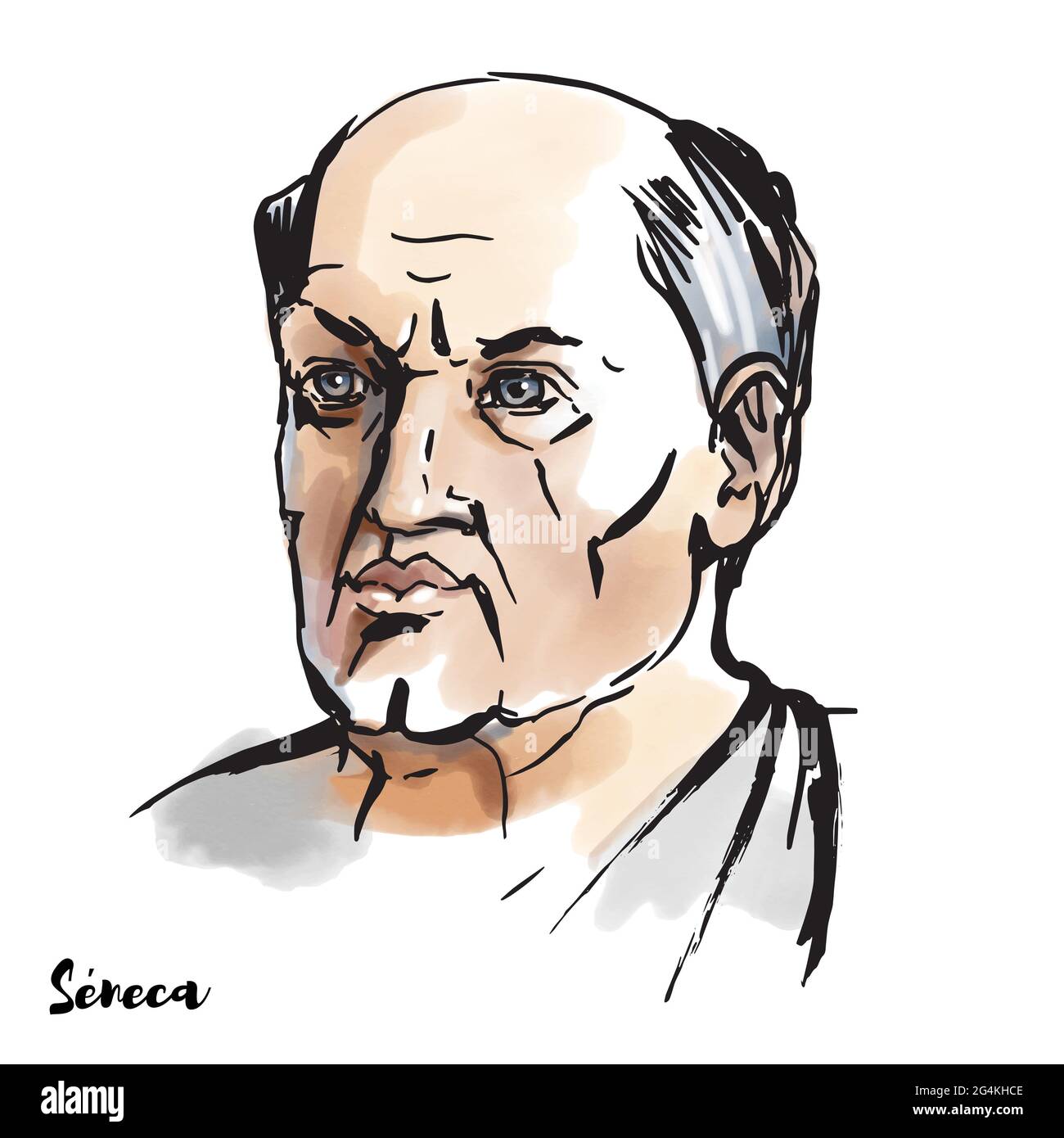 Seneca watercolor vector portrait with ink contours. Also known as ...