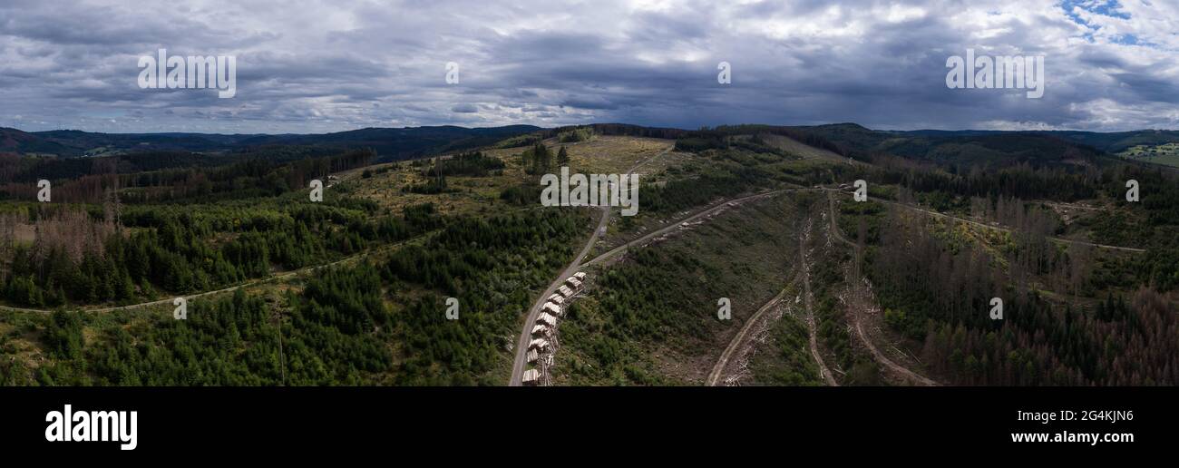 a felled forest landscape in clouds panorama Stock Photo - Alamy