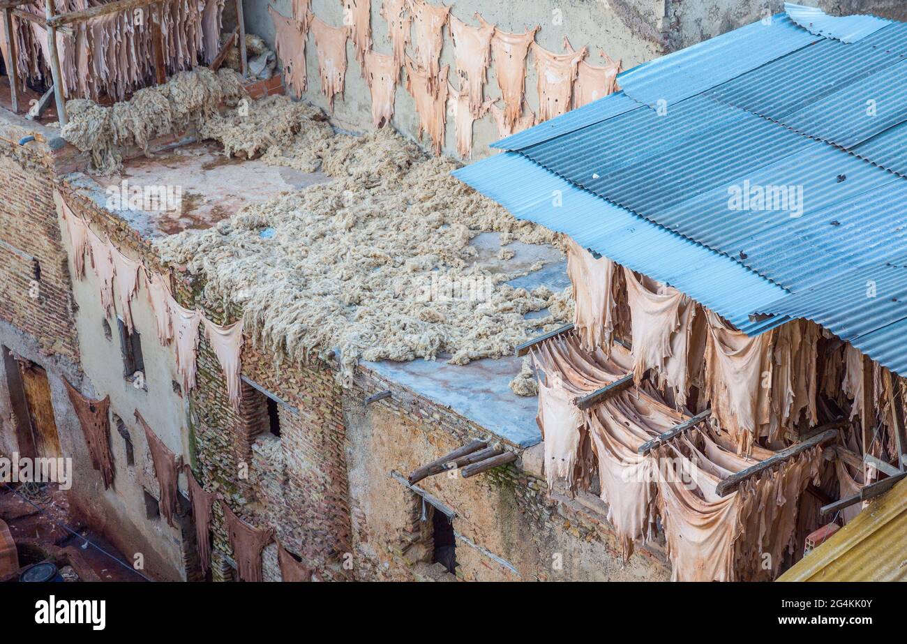 Moroccan leather drying Stock Photo - Alamy