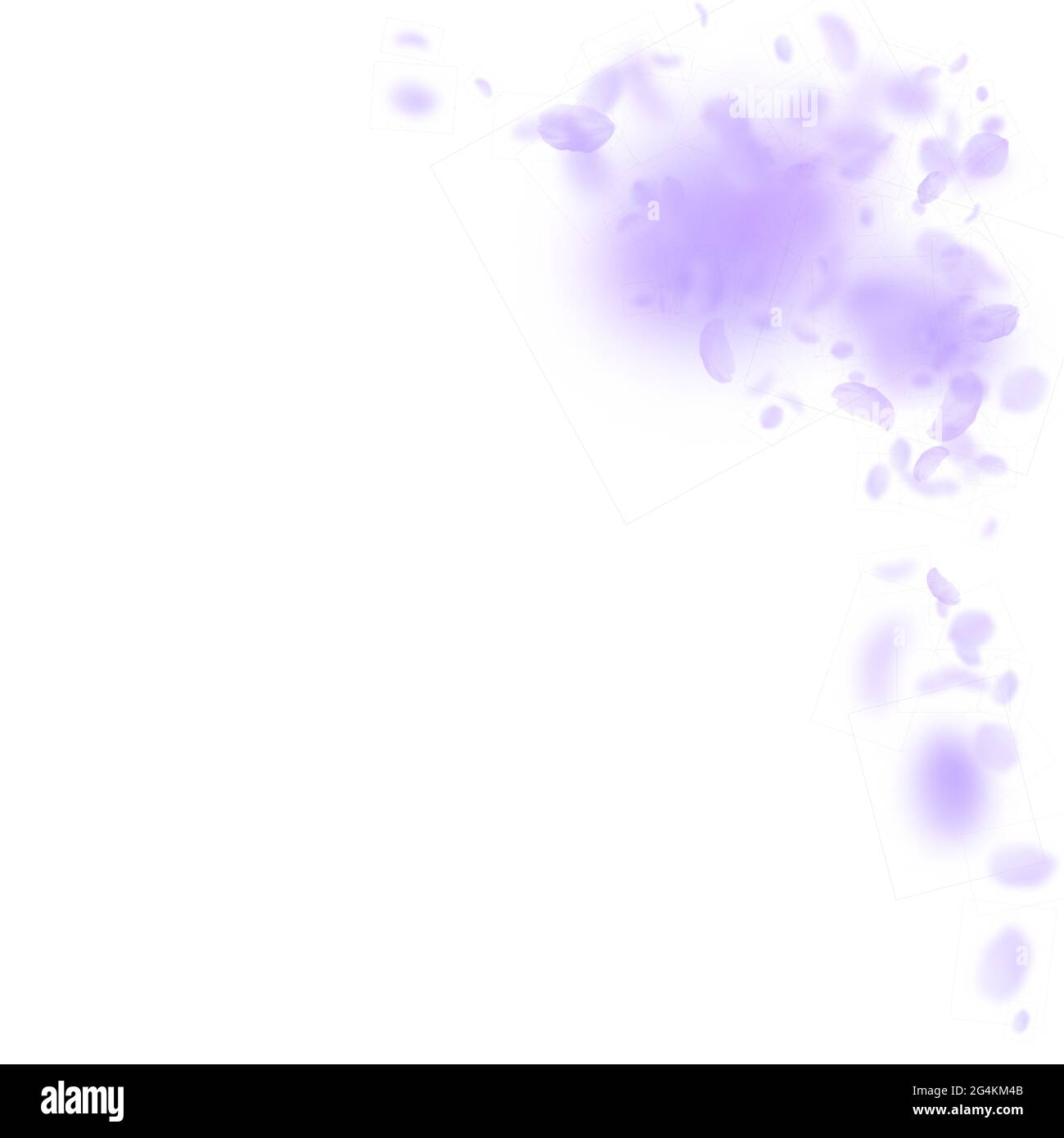 Violet flower petals falling down. Fine romantic f Stock Vector Image ...