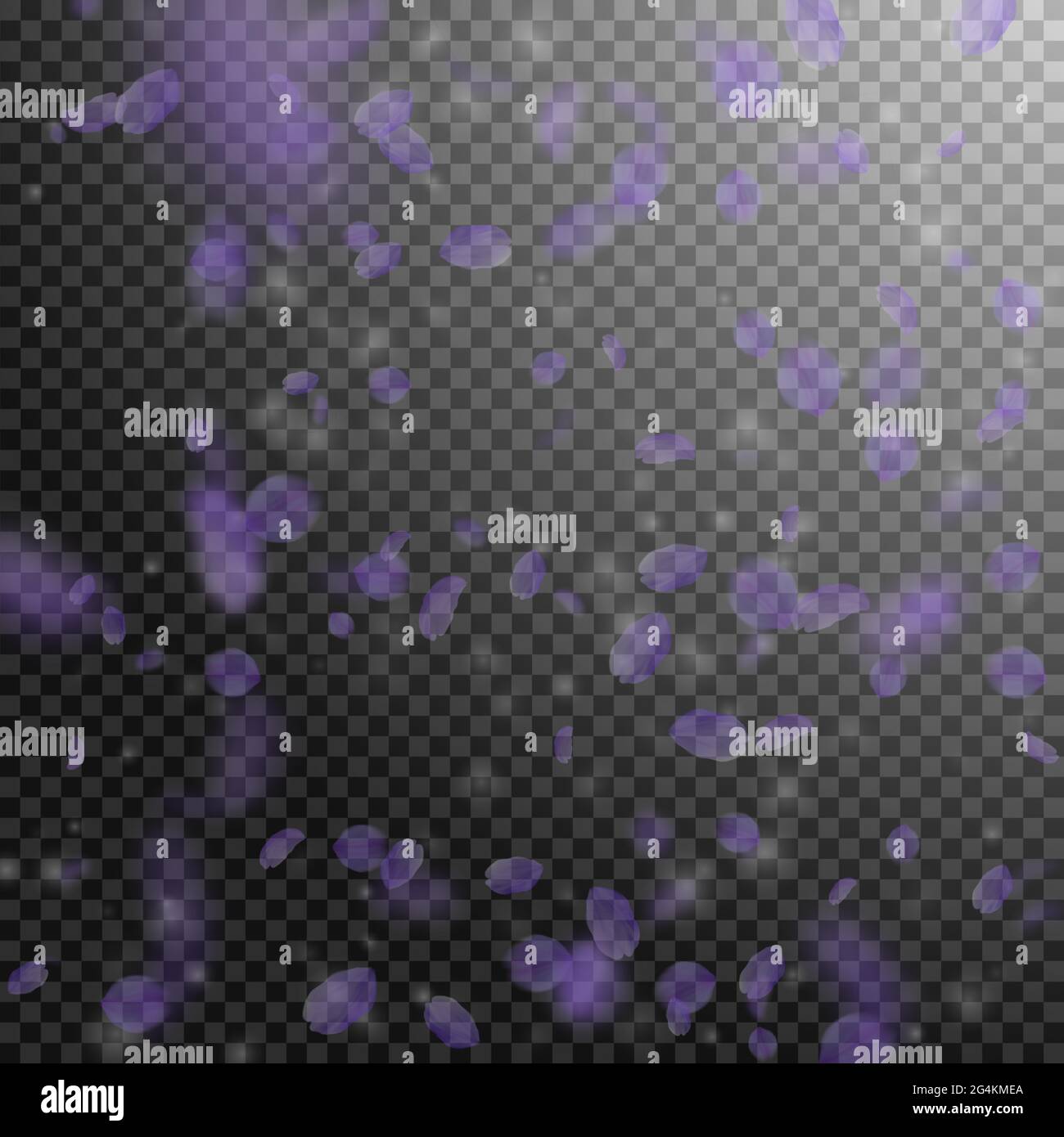 Violet flower petals falling down. Quaint romantic flowers falling rain ...