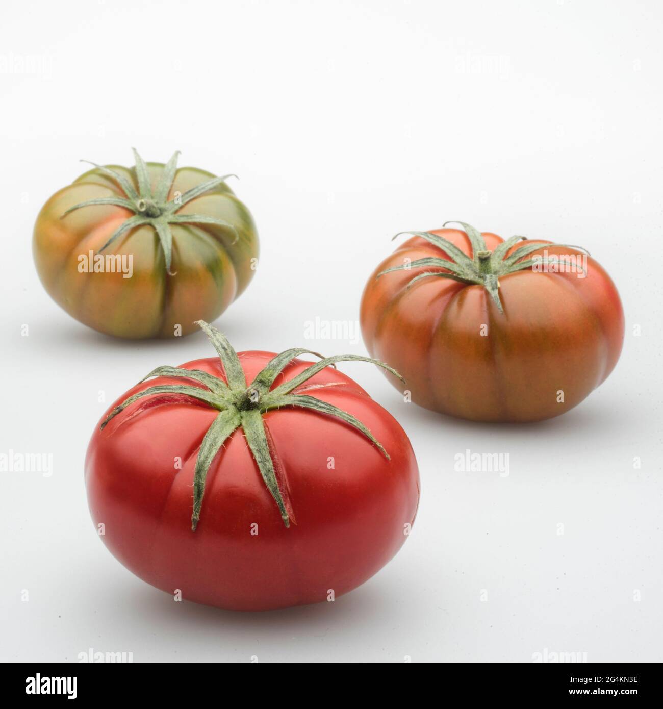 Tomatoes red orange green on white, Sicily, Italy, Europe Stock Photo ...