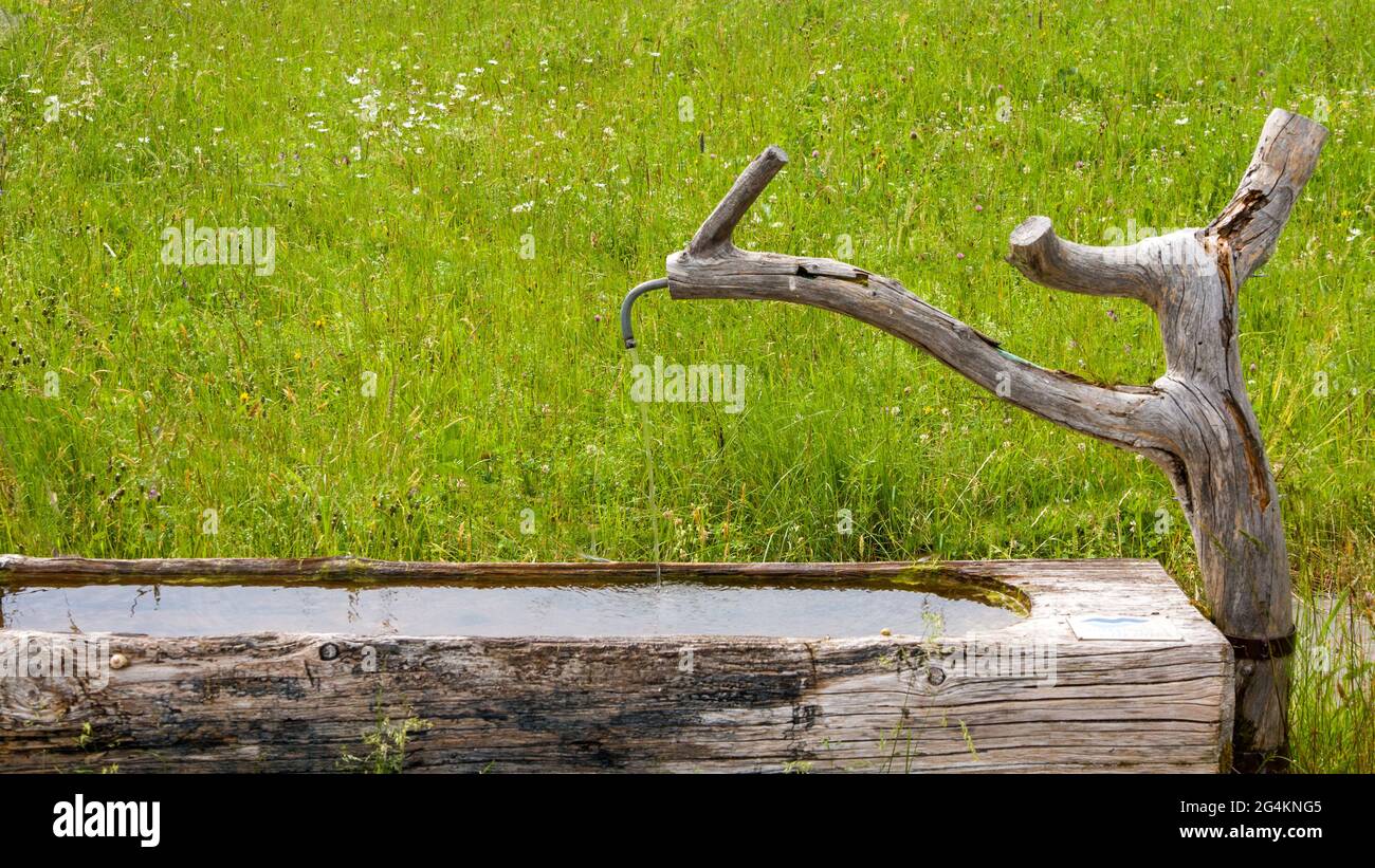 Close up of water trough Stock Photo - Alamy