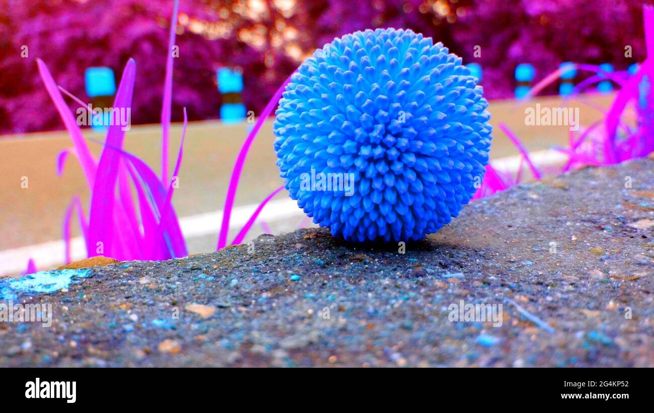 This is a beautiful Froot on man hand and amazing background image ...