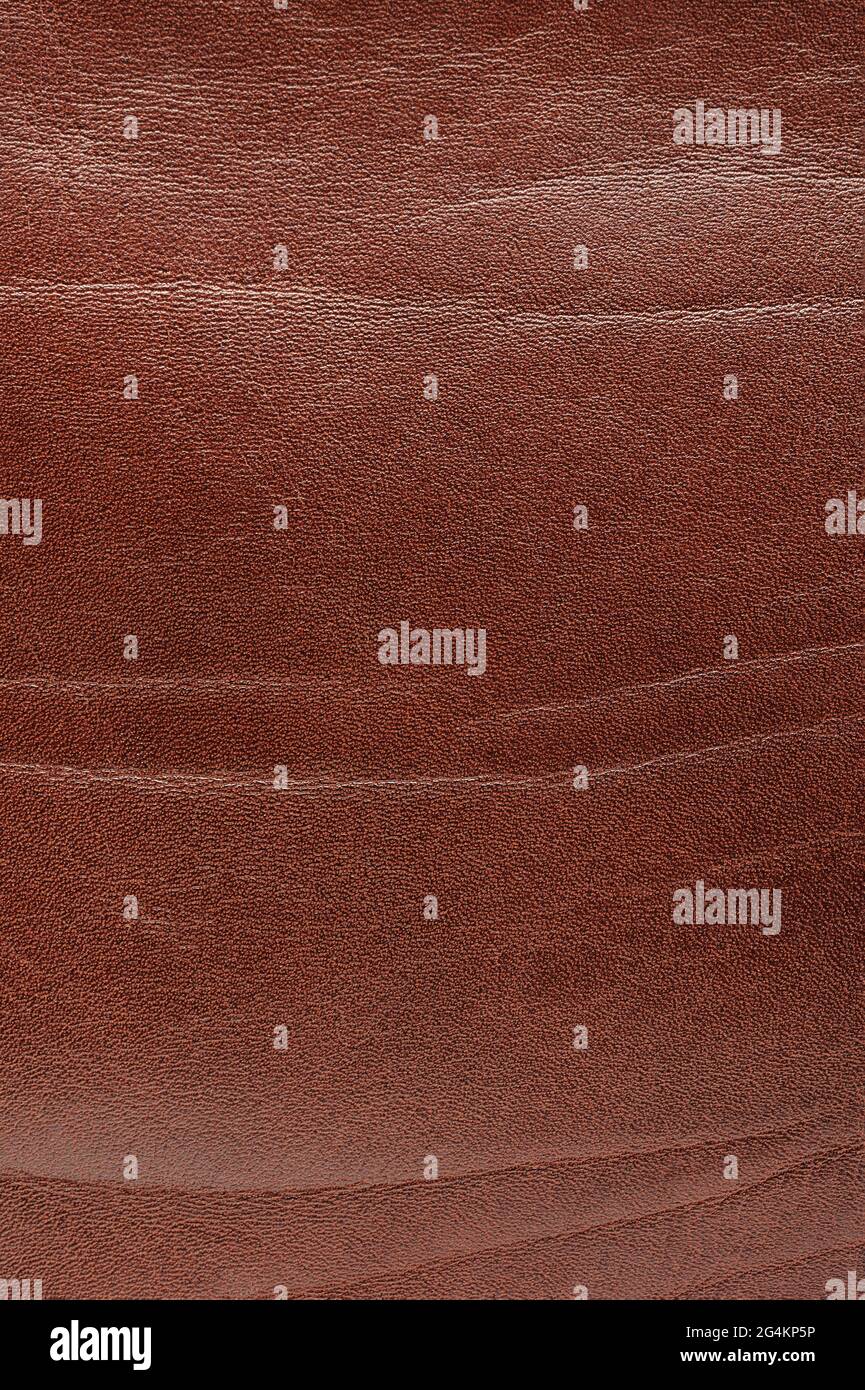 Raw brown leather surface texture macro close up view Stock Photo - Alamy