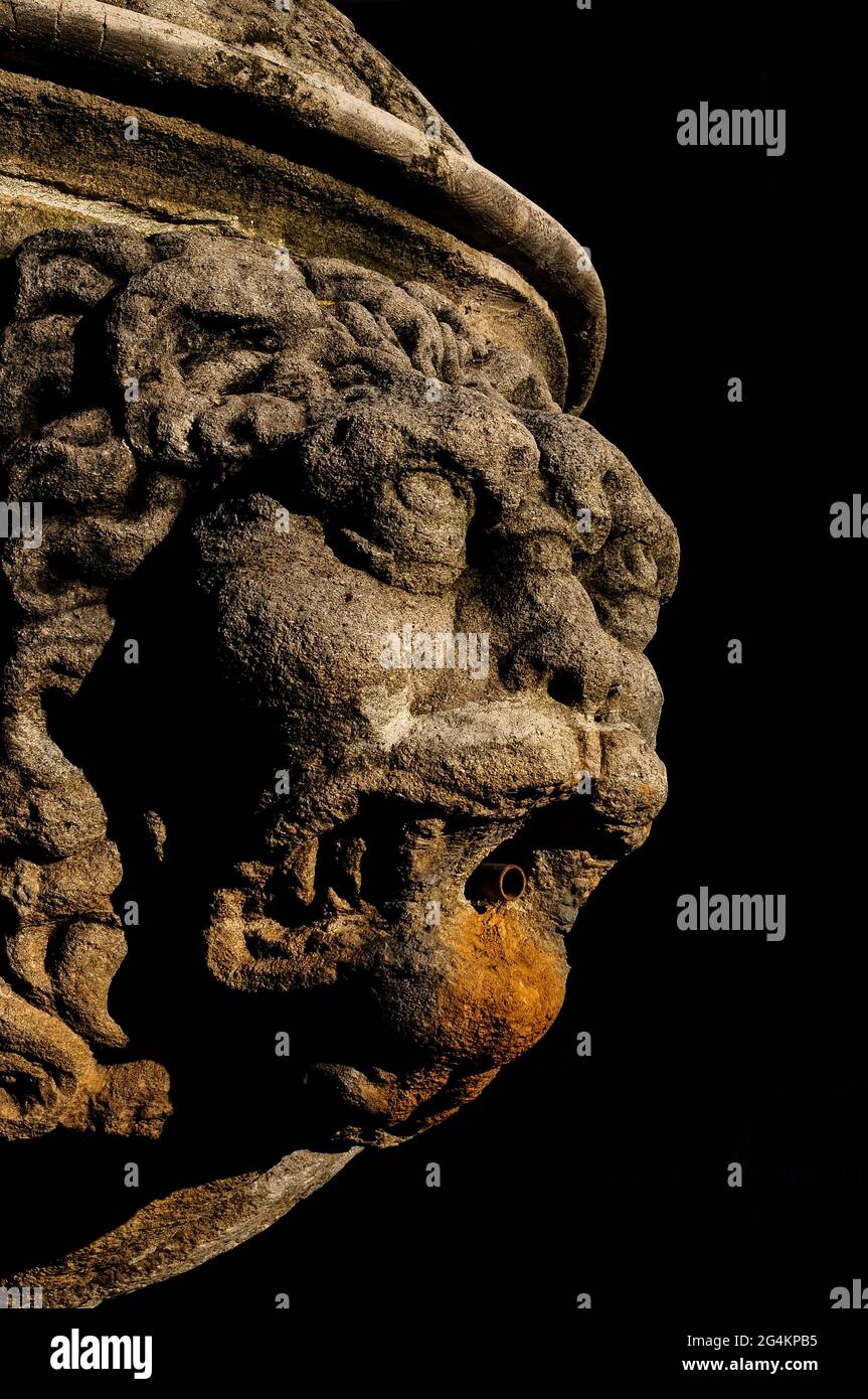 Lion mascaron hi-res stock photography and images - Alamy