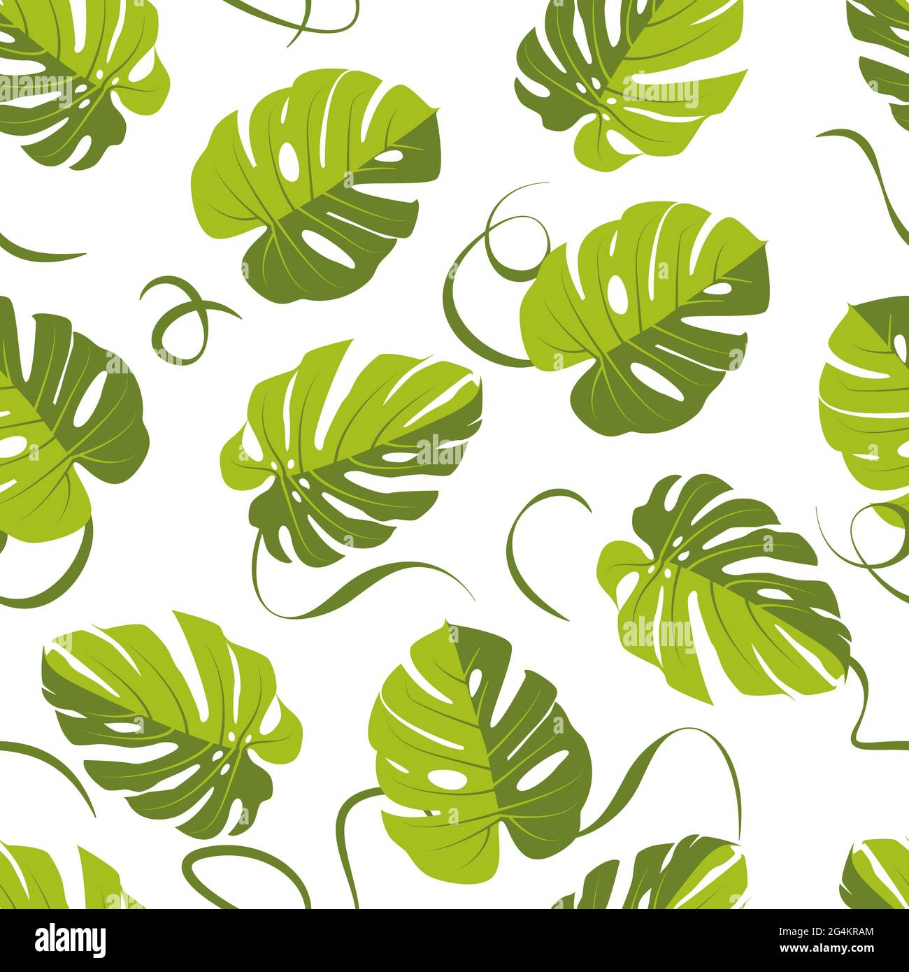 monstera leaf pattern, Palm Leaf Seamless Background. Vector ...