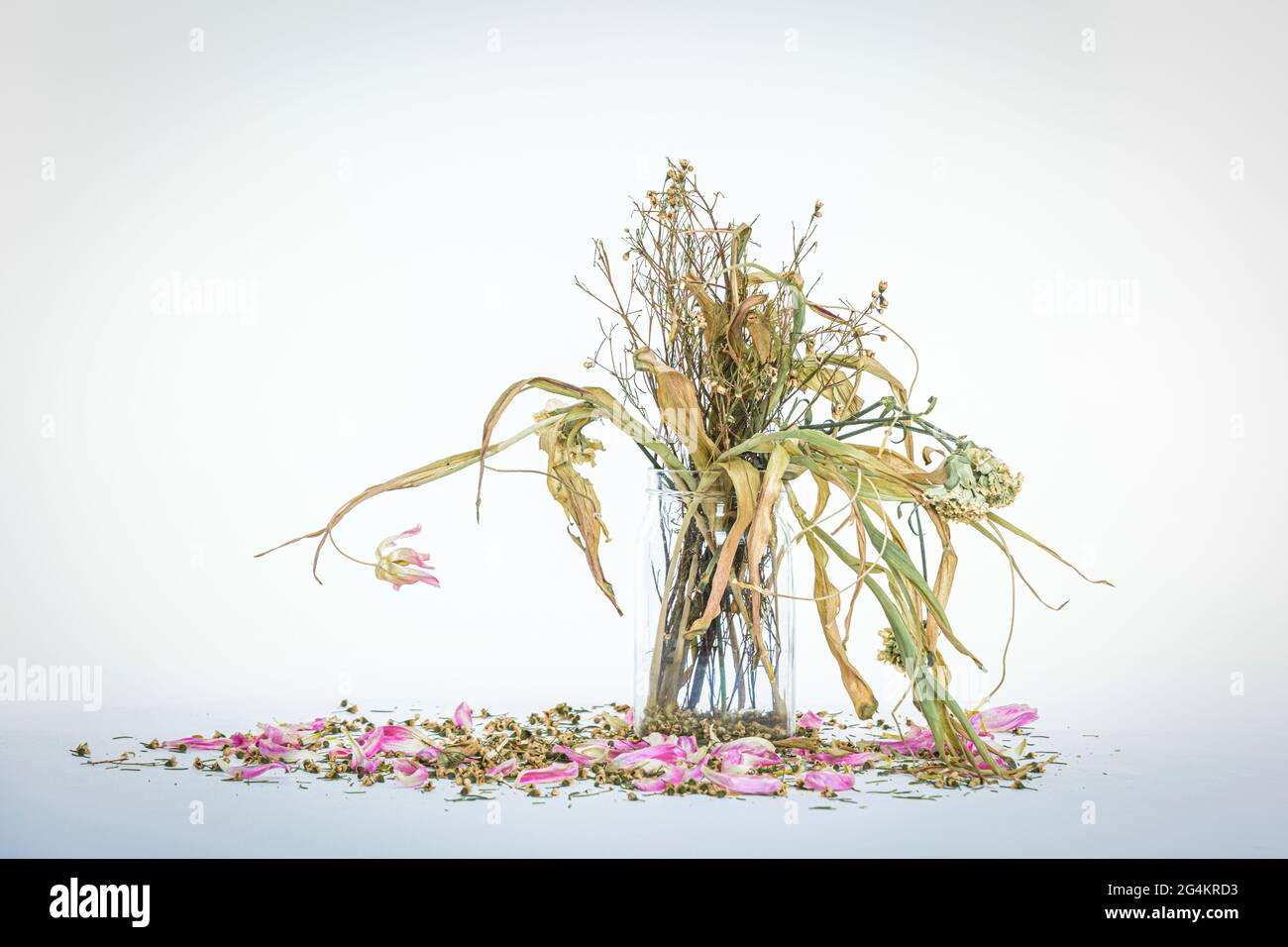 wilted flowers bouquet in a clear glass vase ,Vintage filtered Stock ...