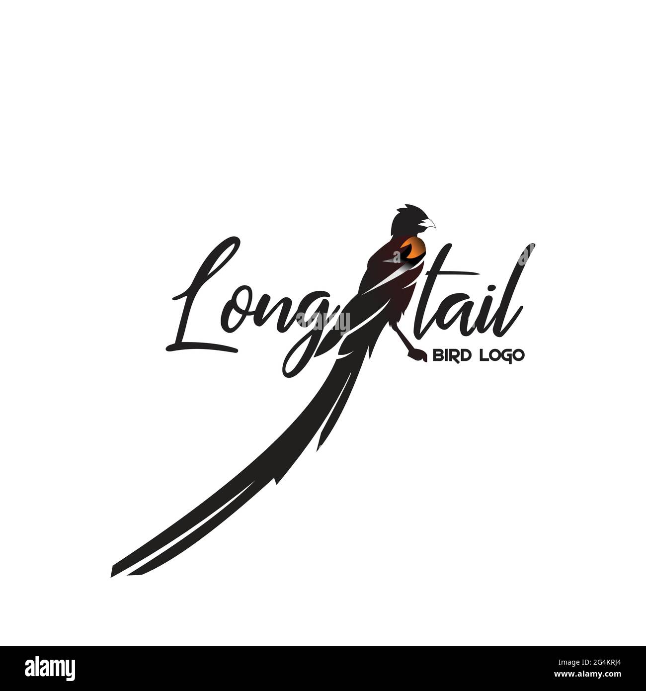 White long tail feathers Stock Vector Images - Alamy