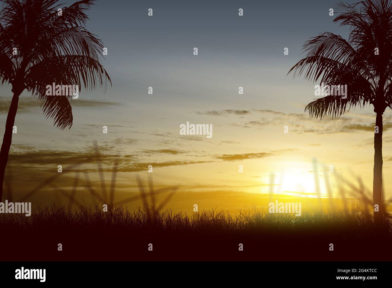 Landscape view of the meadow with sunset sky background Stock Photo - Alamy