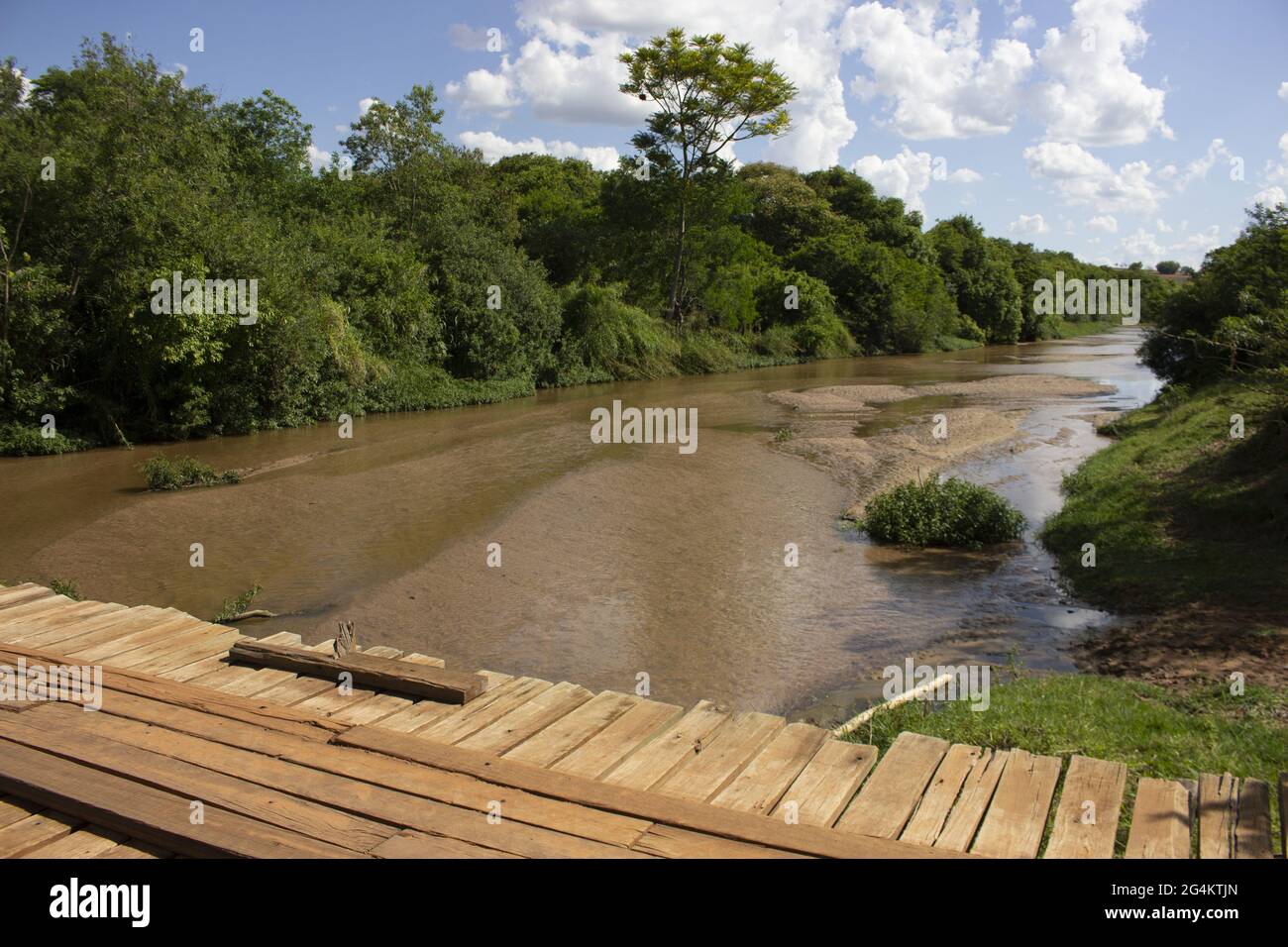 Dirty muddy river flowing through the woods Stock Photo - Alamy
