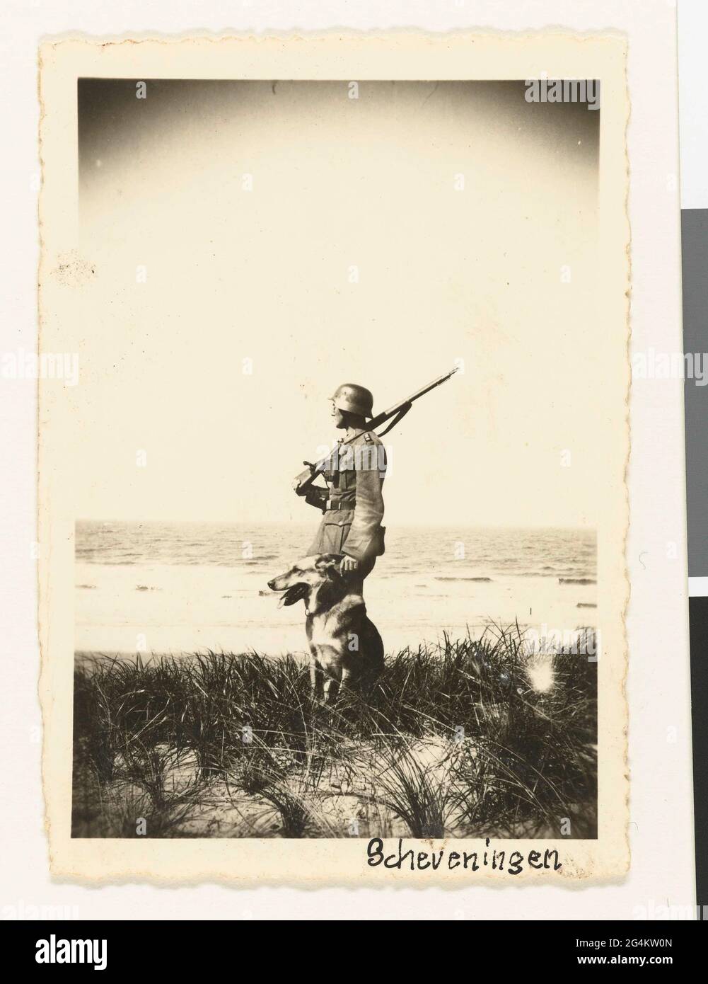 Soldier dog world war ii hi-res stock photography and images - Alamy