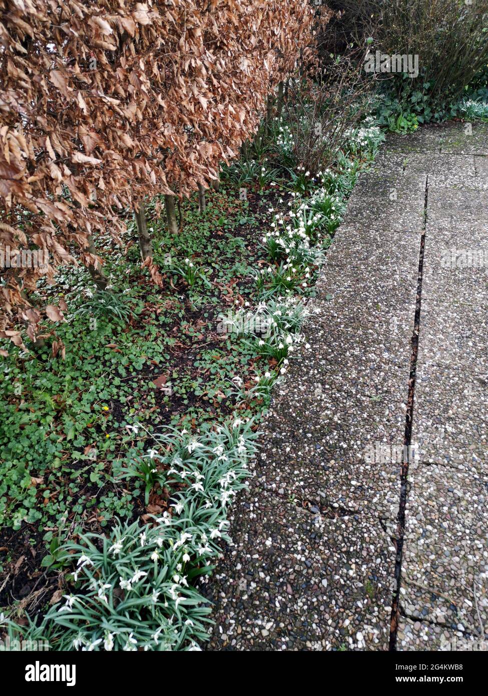 Plants by the roadside hi-res stock photography and images - Alamy