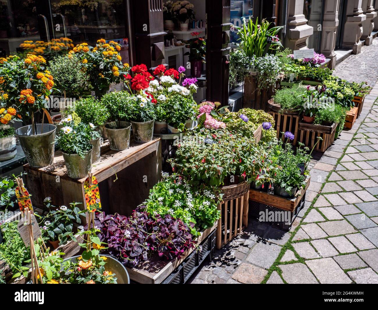 small flower shop in town Stock Photo - Alamy