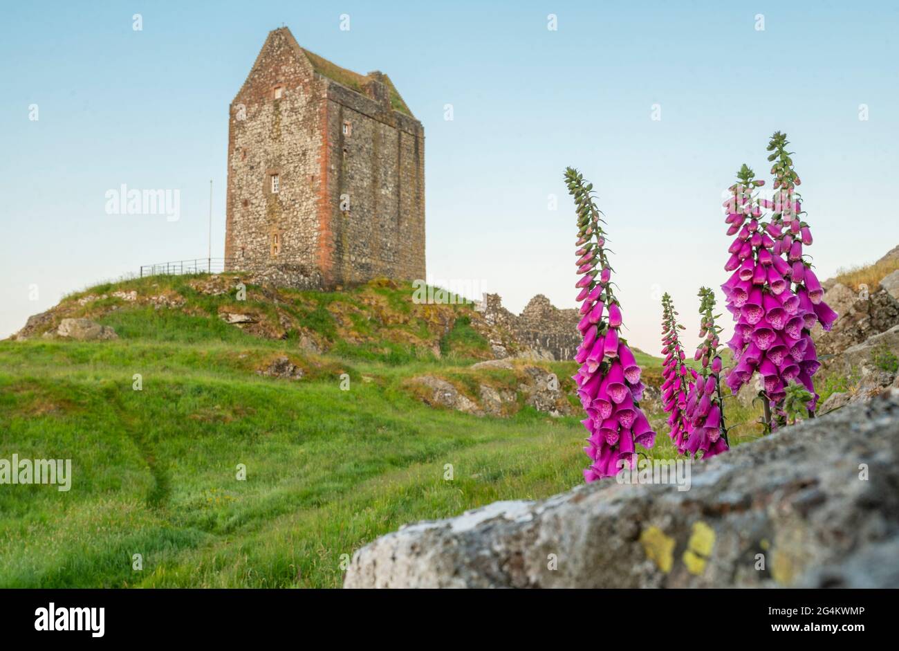 Smailholm Tower, Scottish Borders, UK. 22nd June, 2022. Scotland UK ...